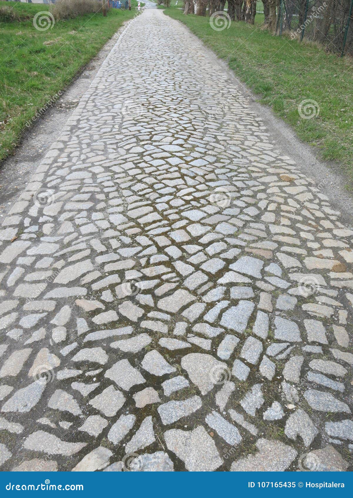 Stone paved pathway stock image. Image of straight, scenery - 107165435