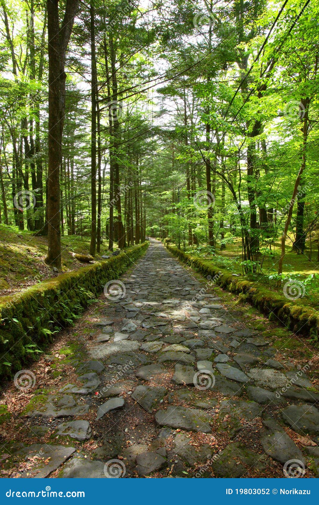Stone paved road stock photo. Image of summering, karuizawa - 19803052