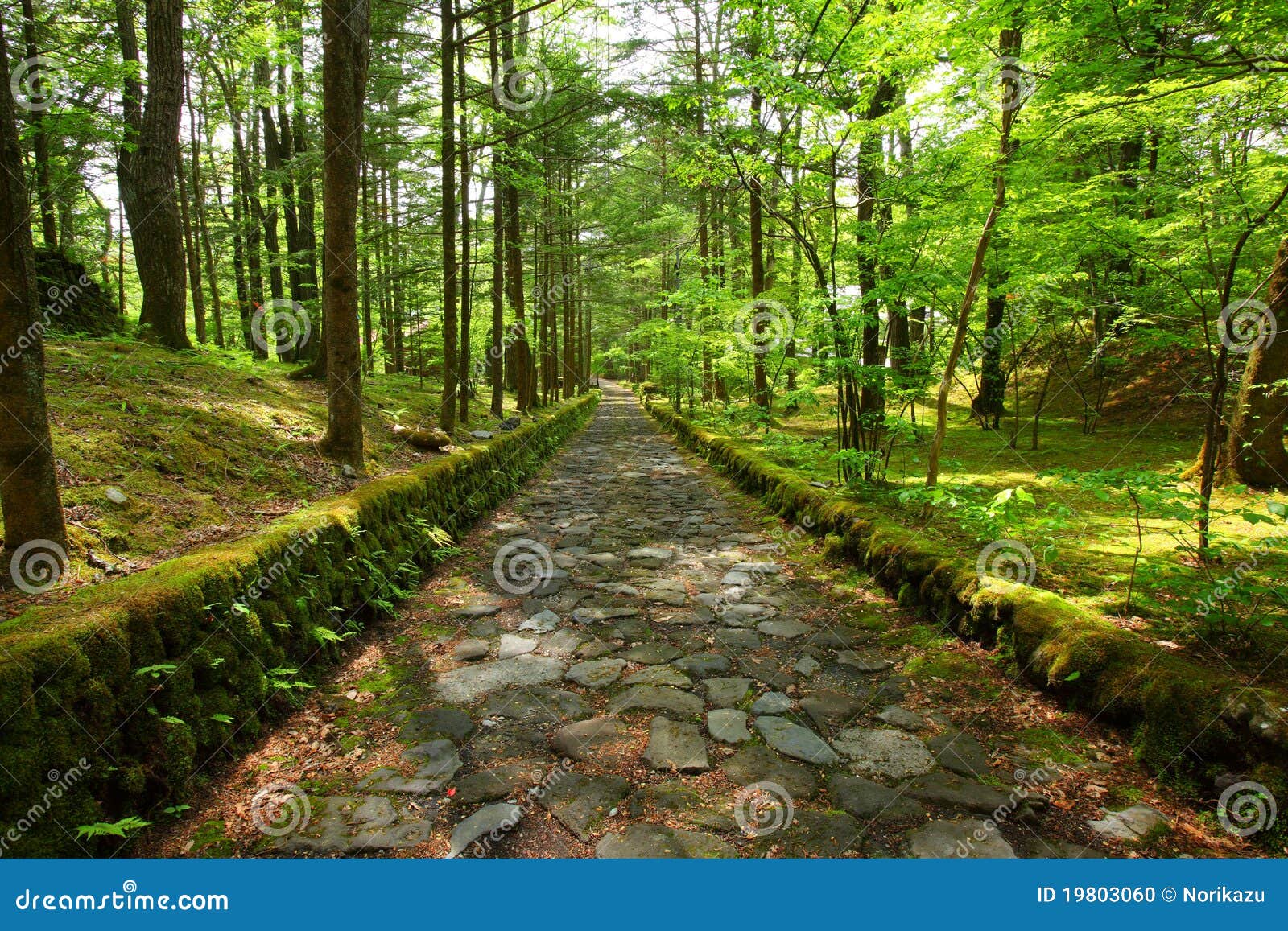 Stone paved road stock photo. Image of paved, road, nagano - 19803060