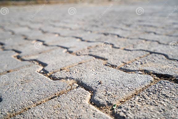 Stone paved road close up stock photo. Image of architecture - 280575318