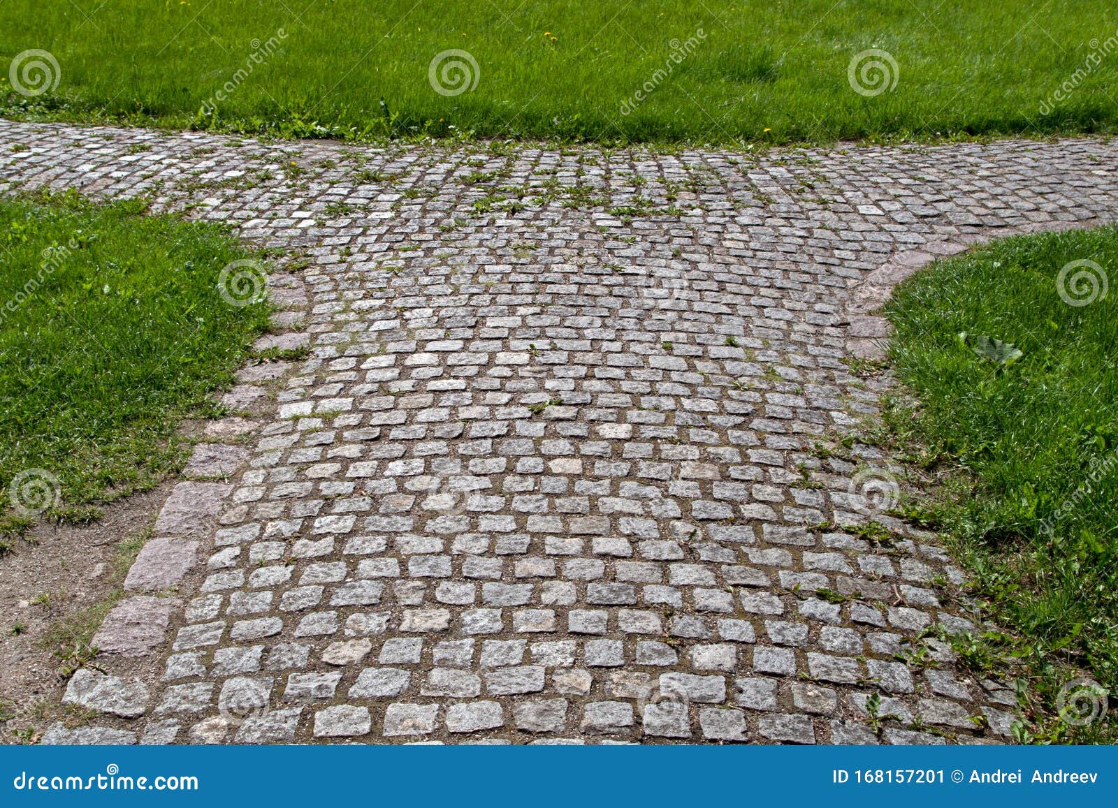 Stone Paved Road Divided in Two Directions among Green Grass Stock ...