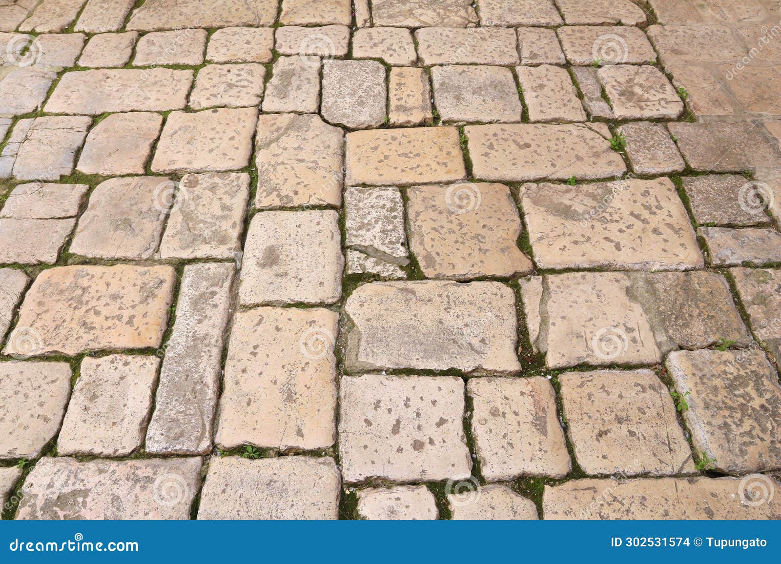Stone Paved Square Background in Bari, Italy Stock Photo - Image of ...