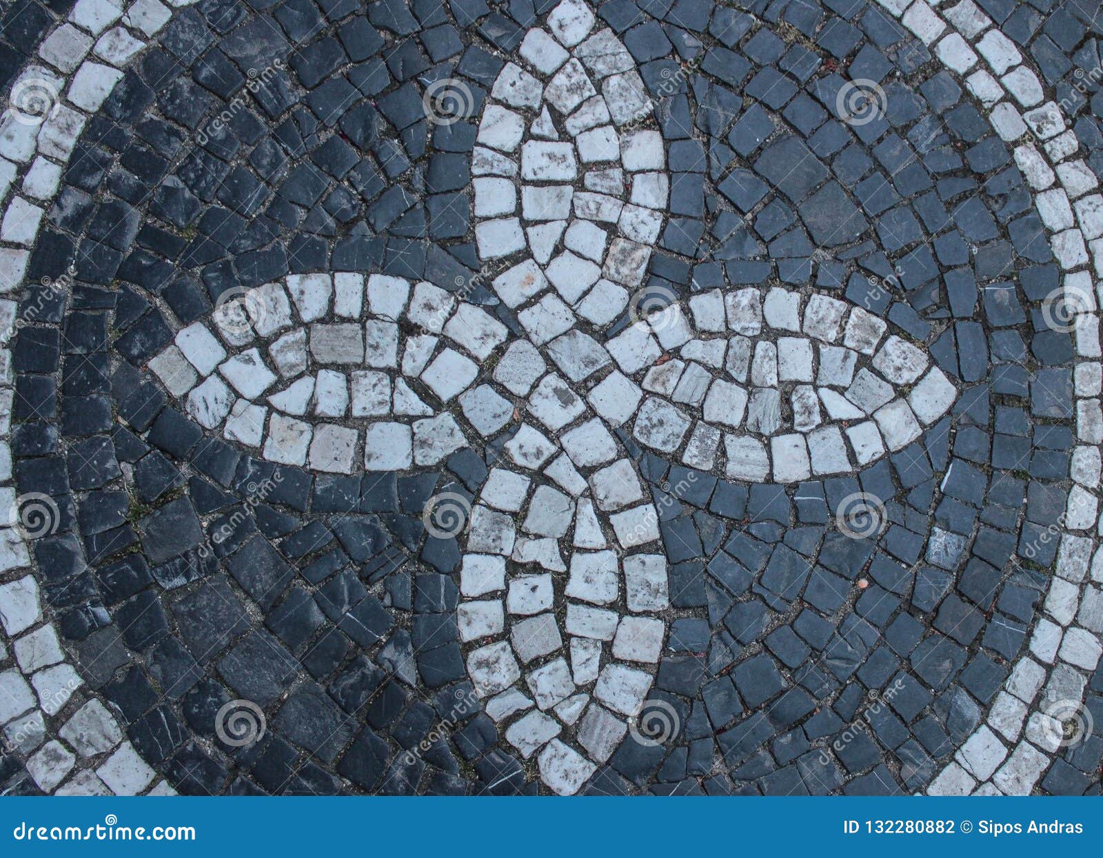 Stone-paved Street with a Flower Pattern. Stock Photo - Image of ...