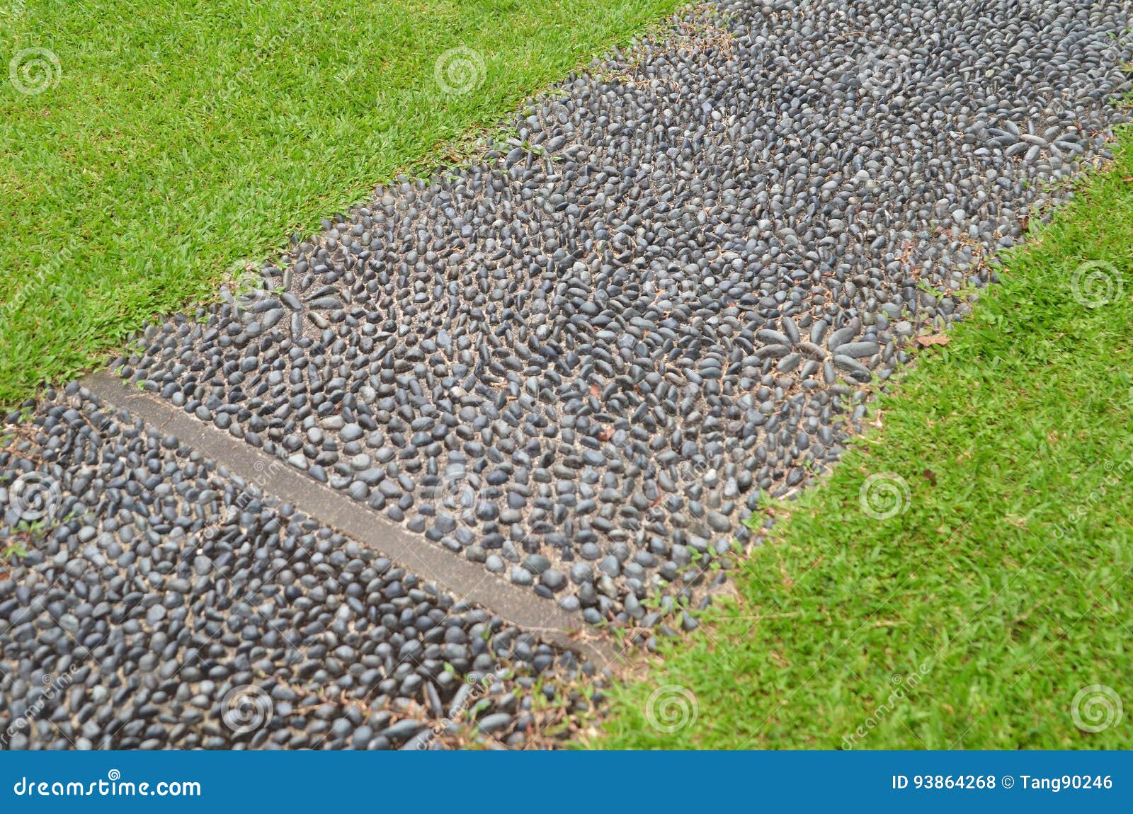 Stone Paved Walkway with Green Grass Stock Photo - Image of grass ...