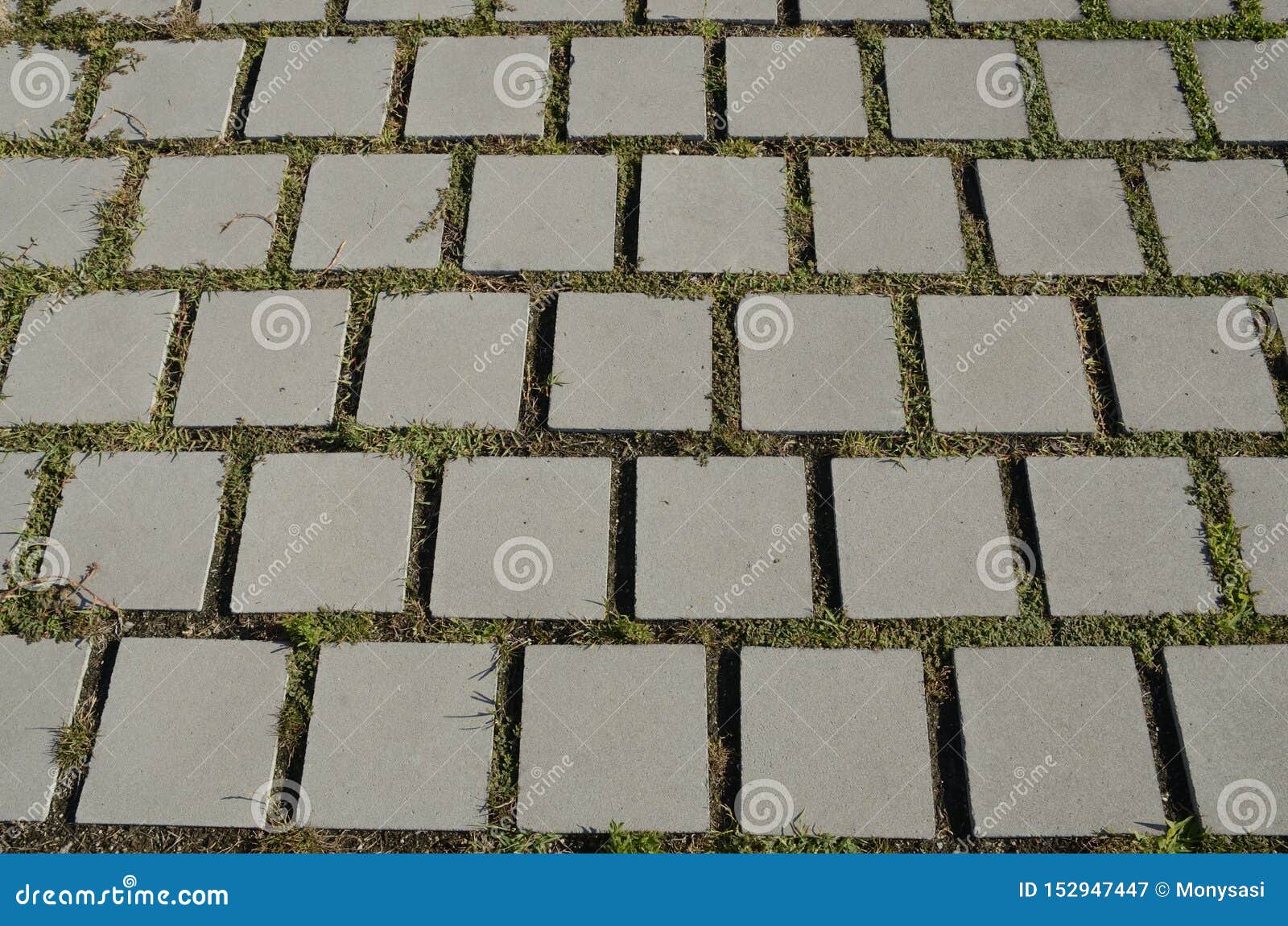 Stone pavement at grass stock image. Image of stone - 152947447