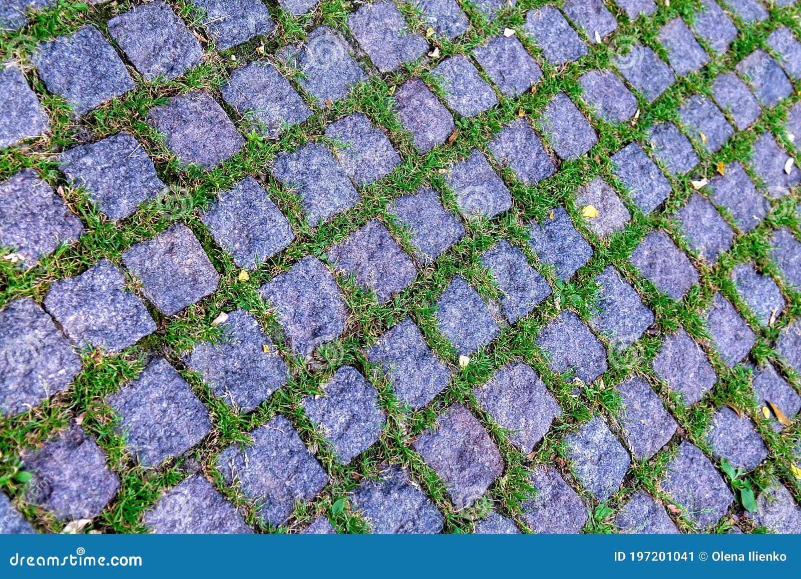 Stone Pavement with Grass Texture Stock Image - Image of floor, green ...