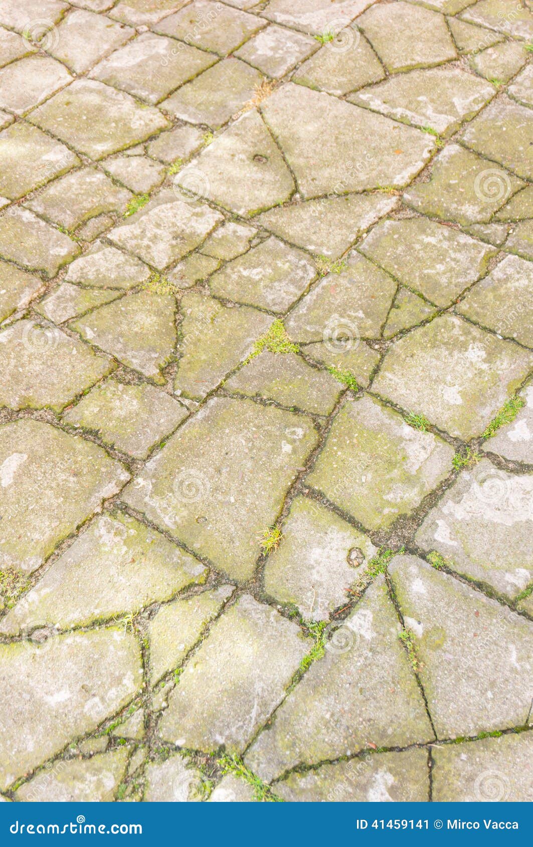 Stone pavement stock image. Image of pavement, moss, damaged - 41459141