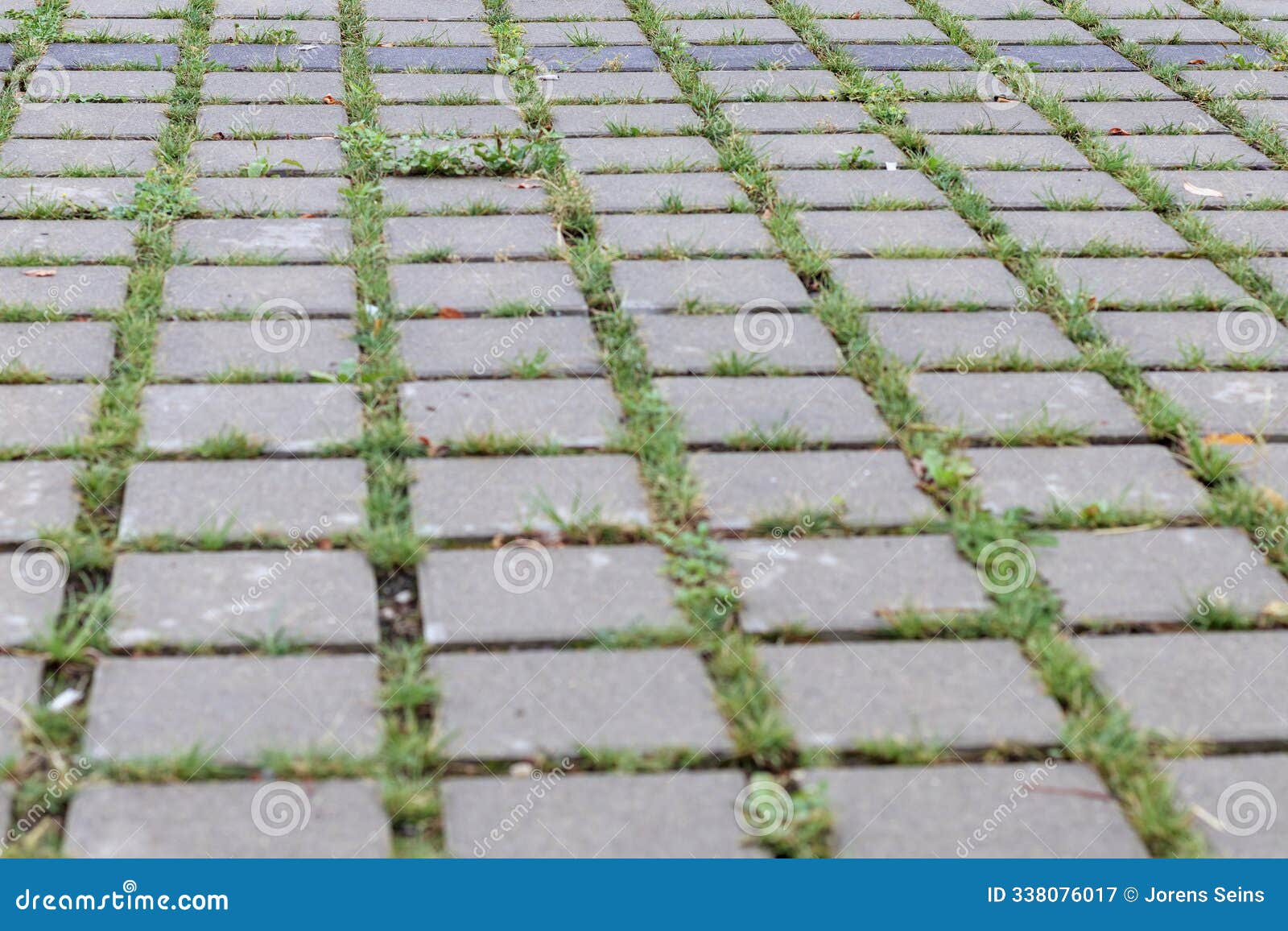 .stone Pavement in the Park in Different Colors Stock Image - Image of ...