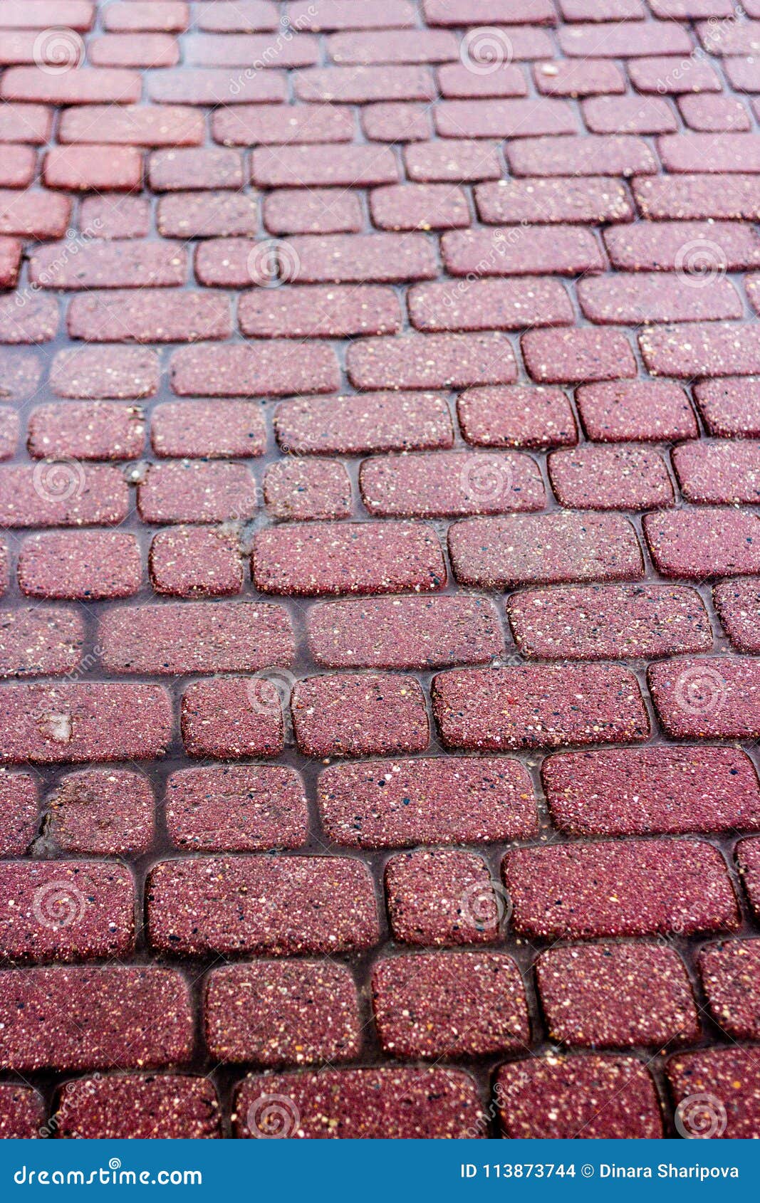Stone Pavement with Red Brick Stock Photo - Image of granite, boulevard ...