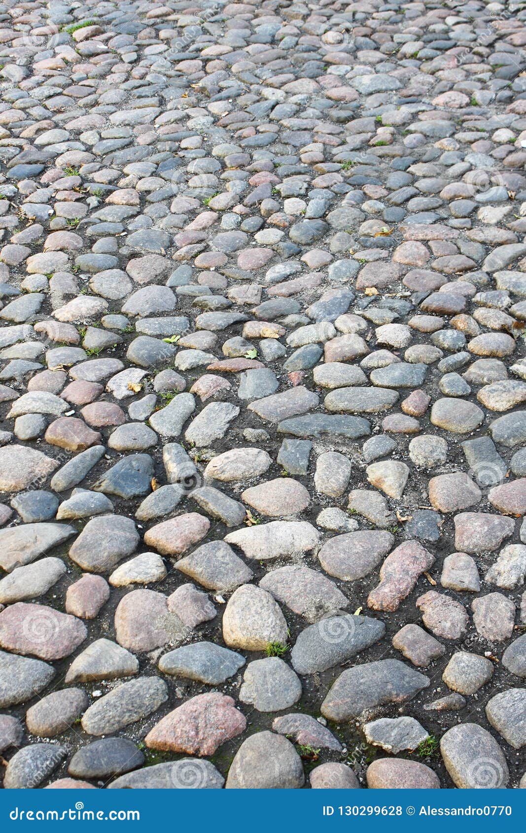 River Pebble Wall Tile Background Natural Texture Cross-section Cut ...