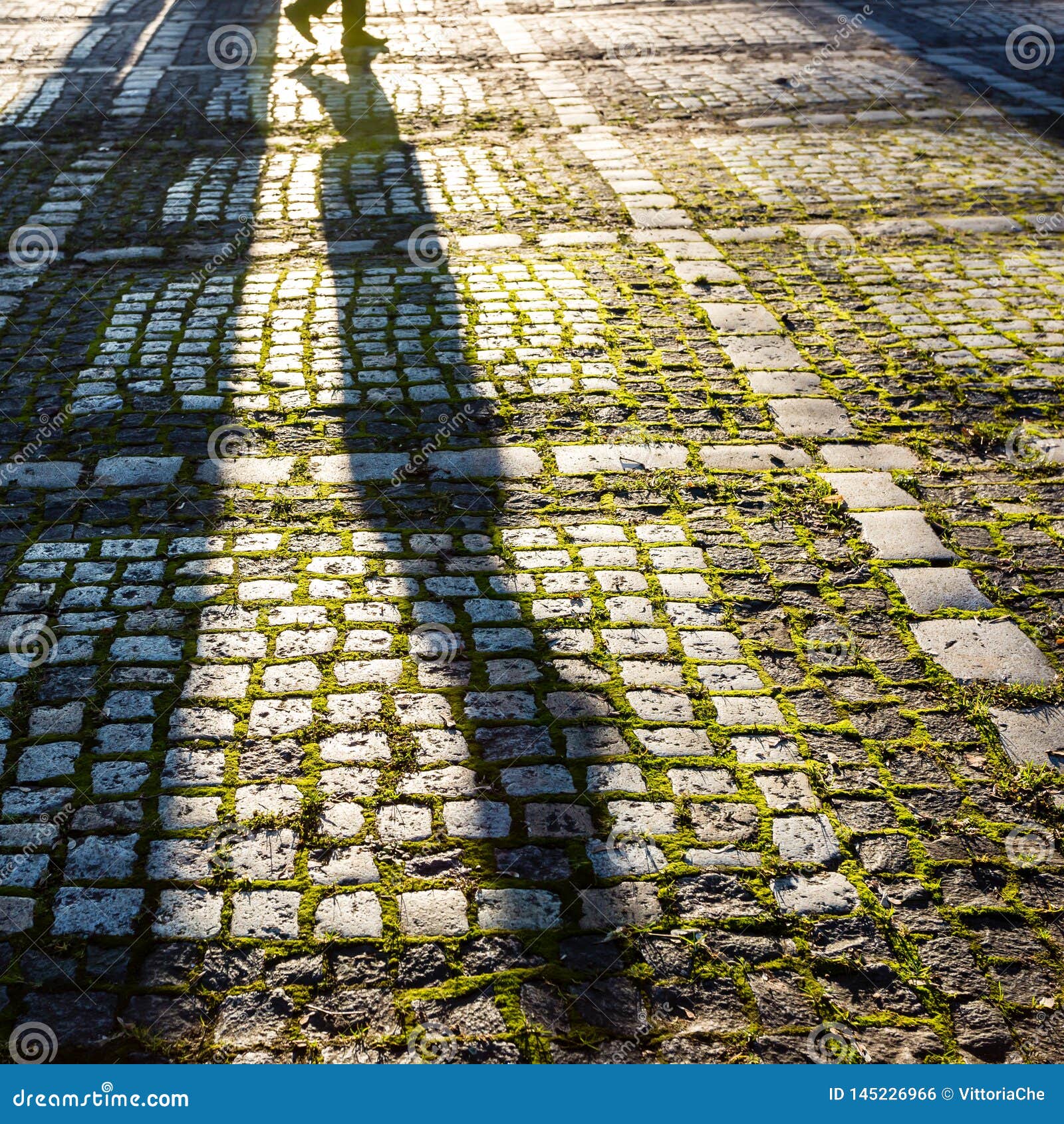 Stone Pavement in the Sunlight with Shadow of Man Stock Photo - Image ...