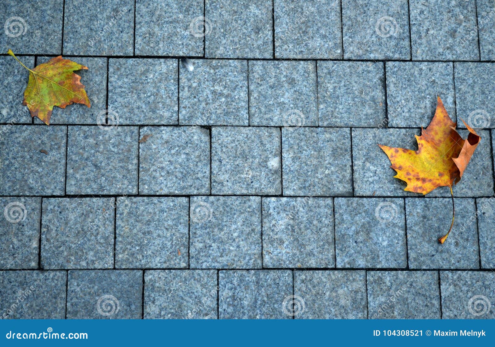8,620 Beautiful Pavement Texture Photos - Free & Royalty-Free Stock ...