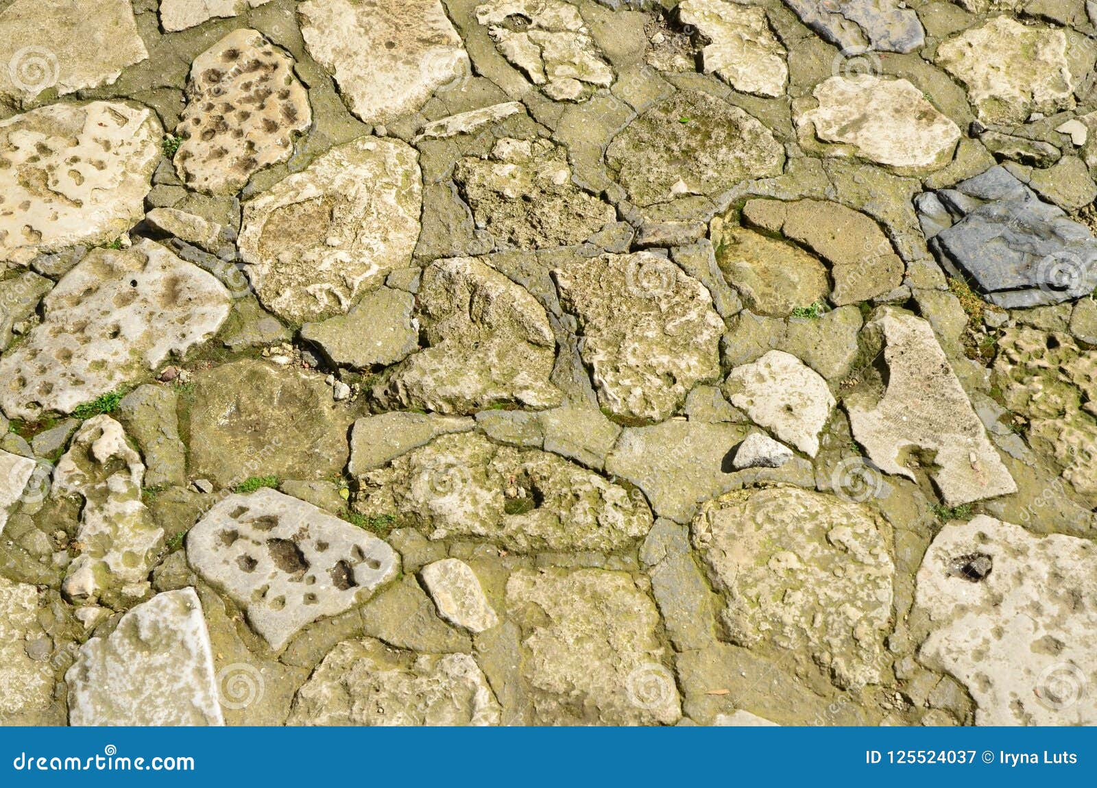 Pavement Of Istanbul Royalty-Free Stock Photography | CartoonDealer.com ...