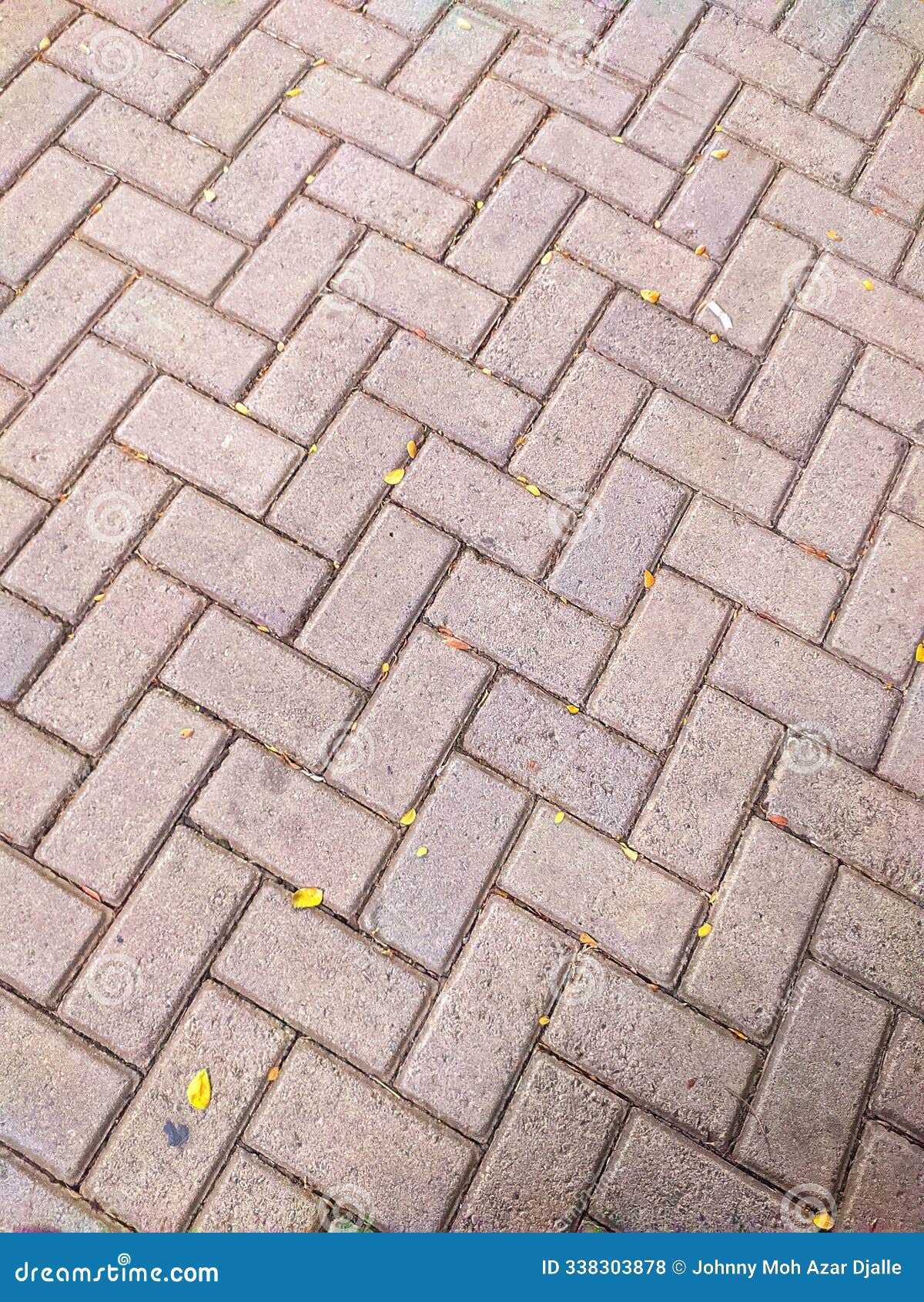 Stone pavement texture stock photo. Image of brick, circle - 338303878