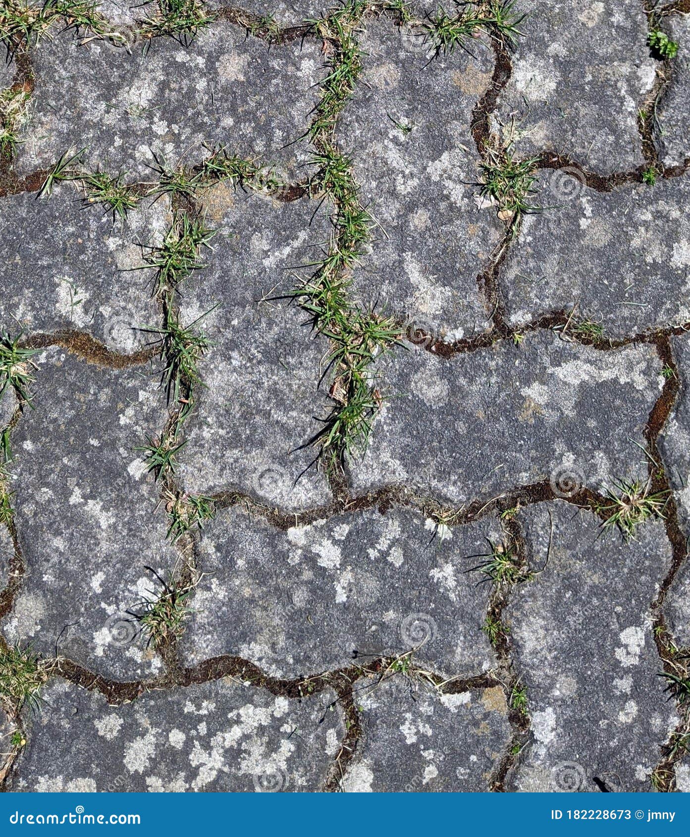 Texture of Old Interlocking Stone Pavers with Grass and Soil Stock ...