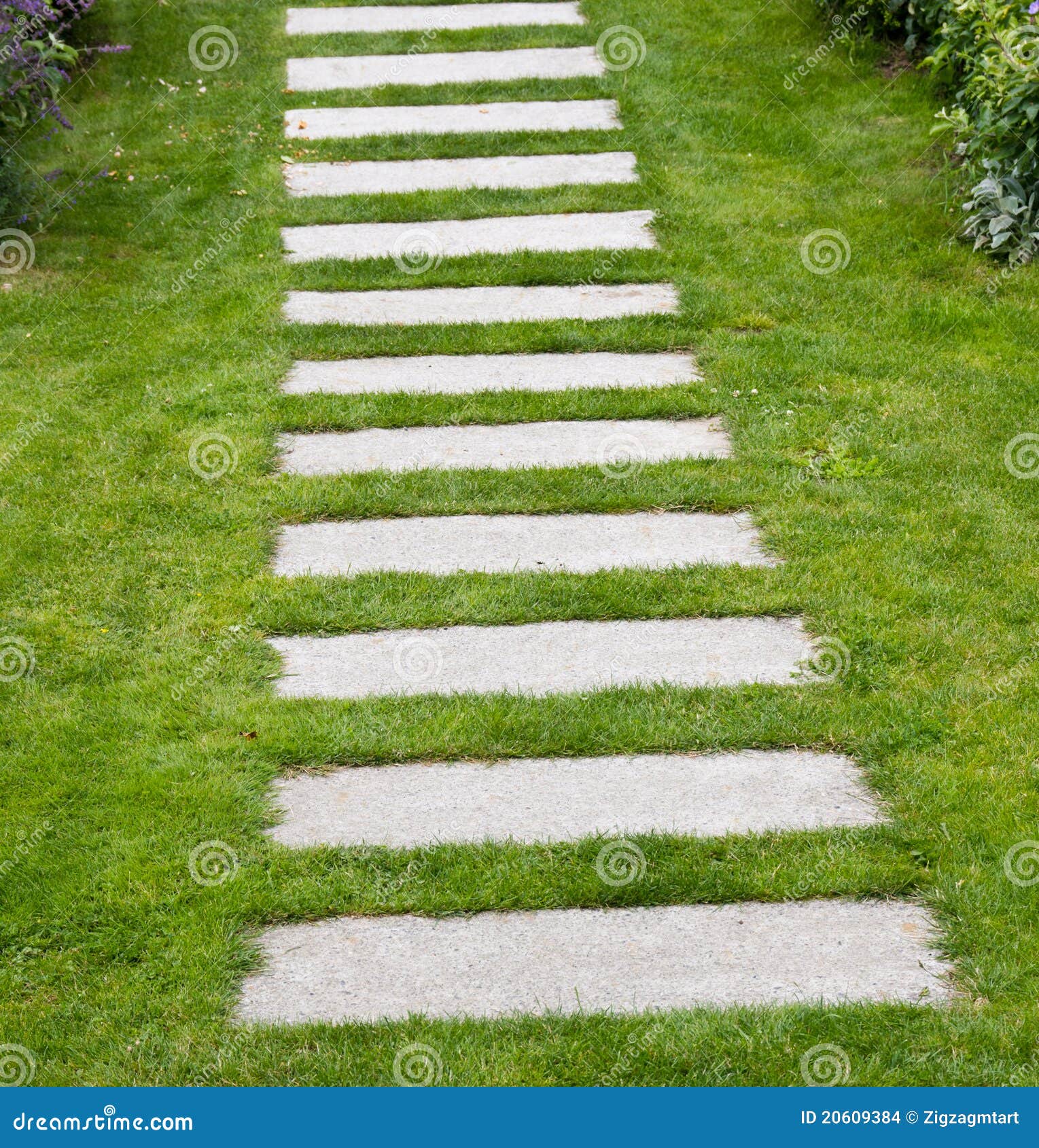 Stone pavers in lawn stock photo. Image of natural, rectangle - 20609384