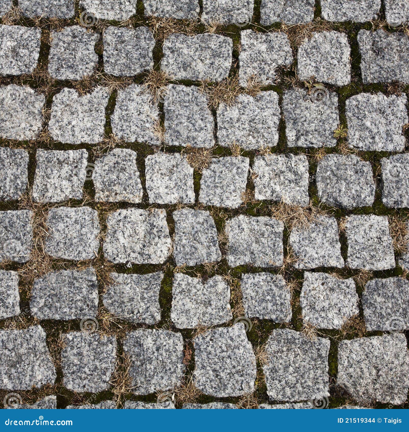 Stone Paving Stock Images - Image: 21519344