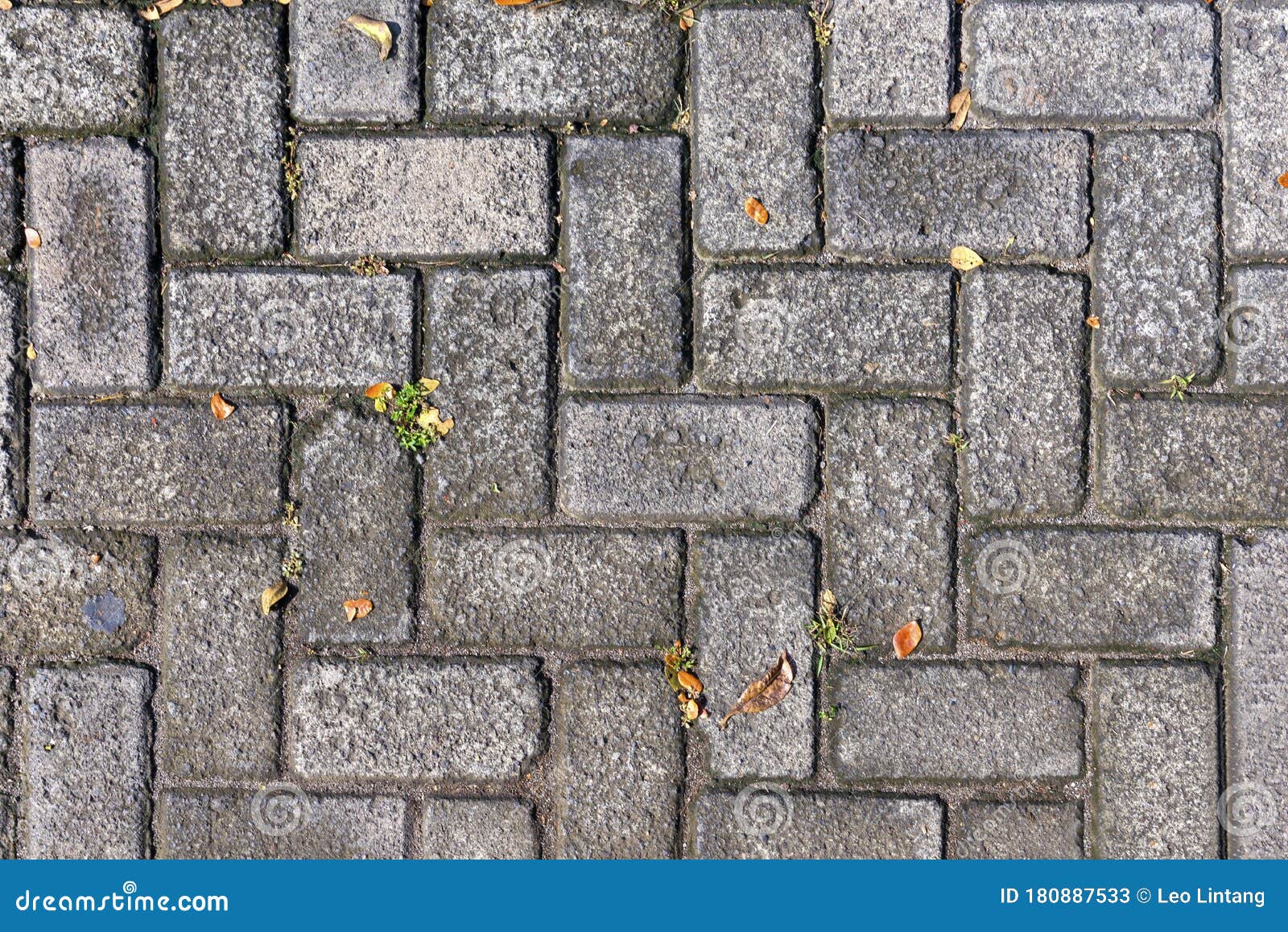 Paving Block Pavement That Forms A Pattern Stock Photography ...