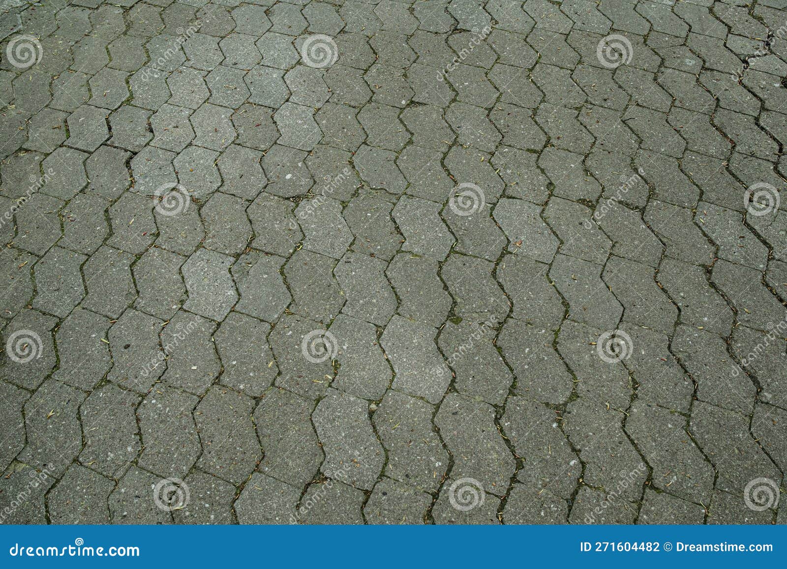 Stone Paving Block Walk Path in the Park Stock Photo - Image of park ...