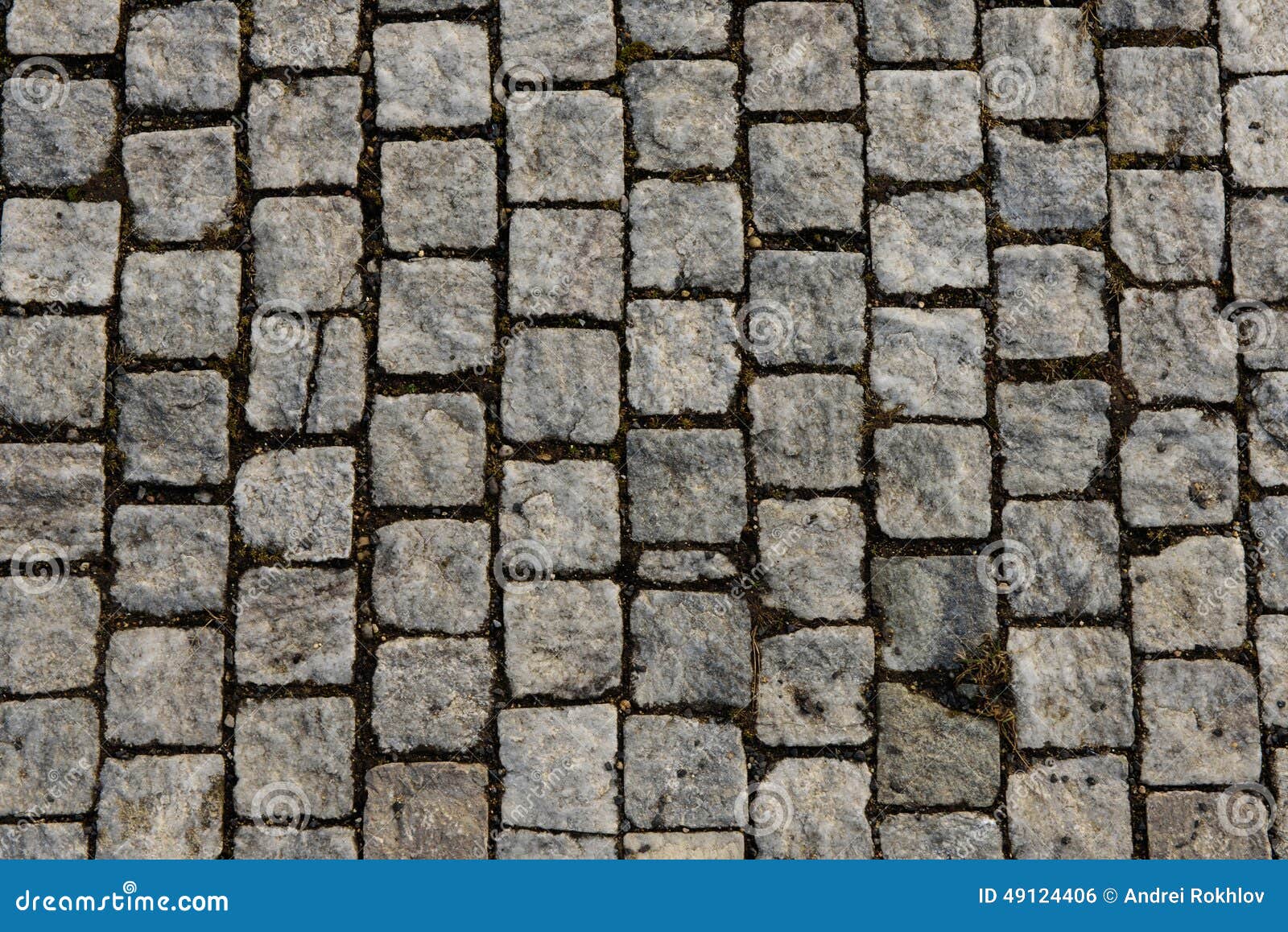 Stone paving texture stock photo. Image of form, stones - 49124406