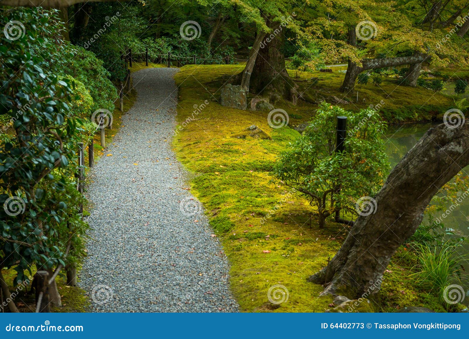 Stone Pebble Footpath Garden Stock Image - Image of tree, garden: 64402773