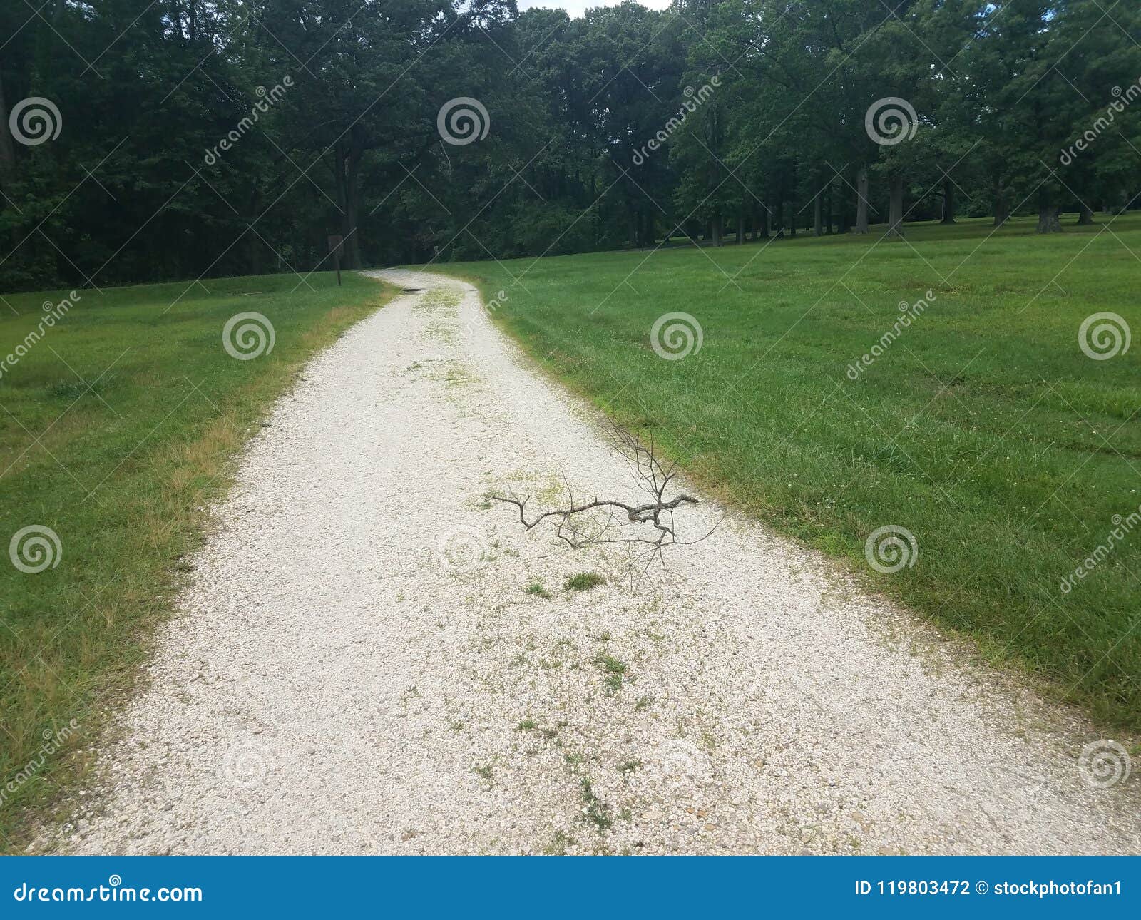 Stone Trail with Grass and Trees Stock Photo - Image of trees, path ...