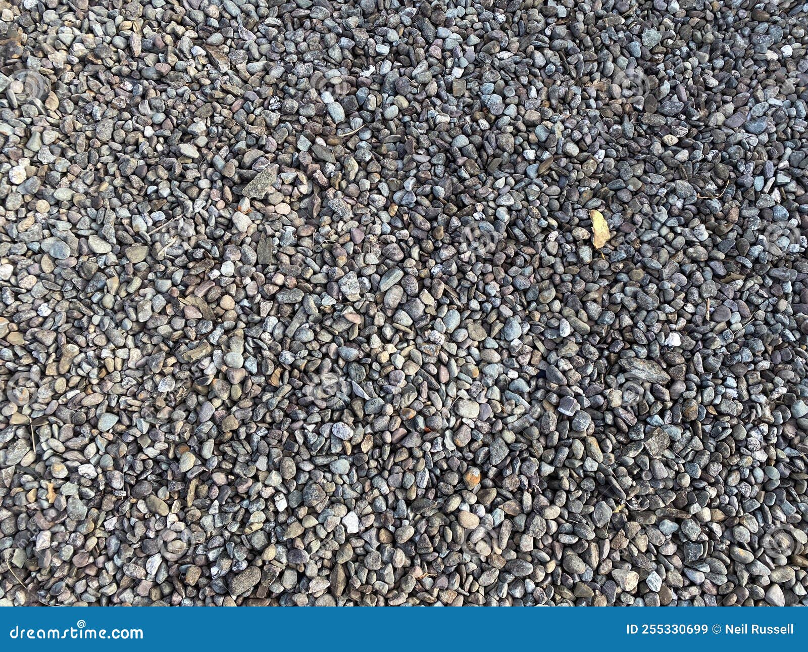 Stone Pebbles on Floor stock image. Image of asphalt - 255330699