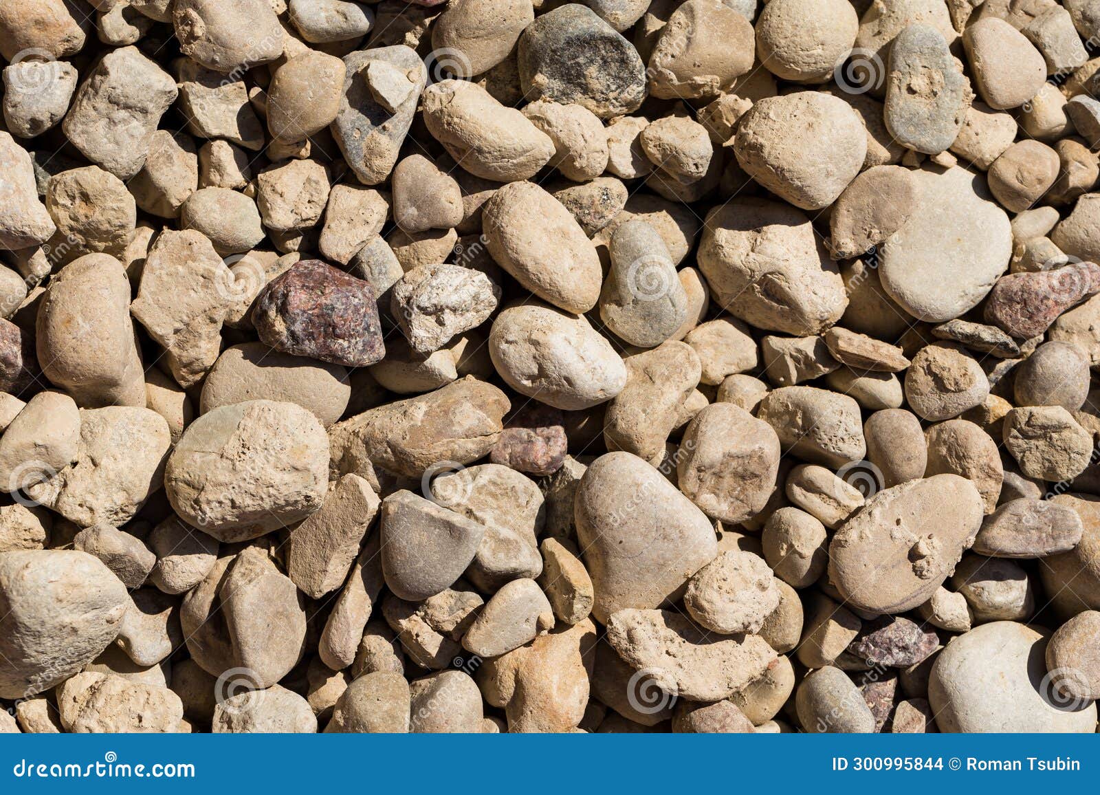 Stone Pebbles Texture or Stone Pebbles Background for Design Stock ...