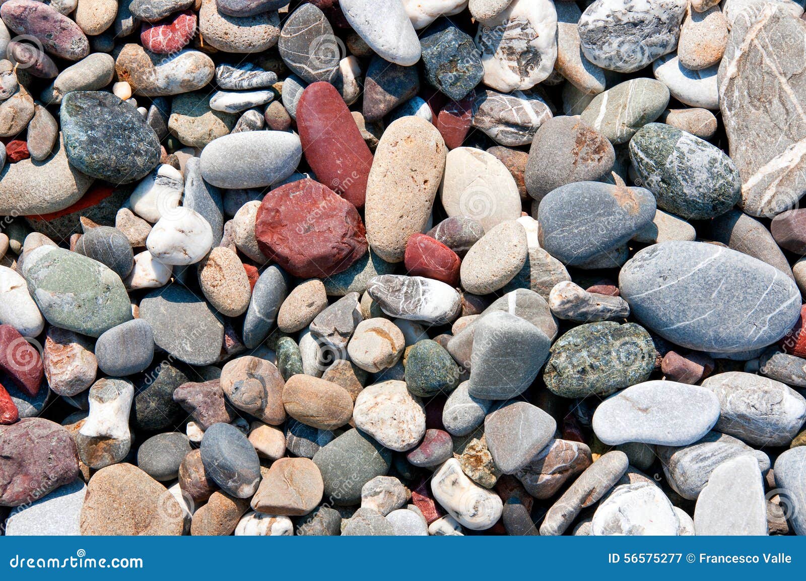 Stone pebbles stock image. Image of pebble, decoration - 56575277