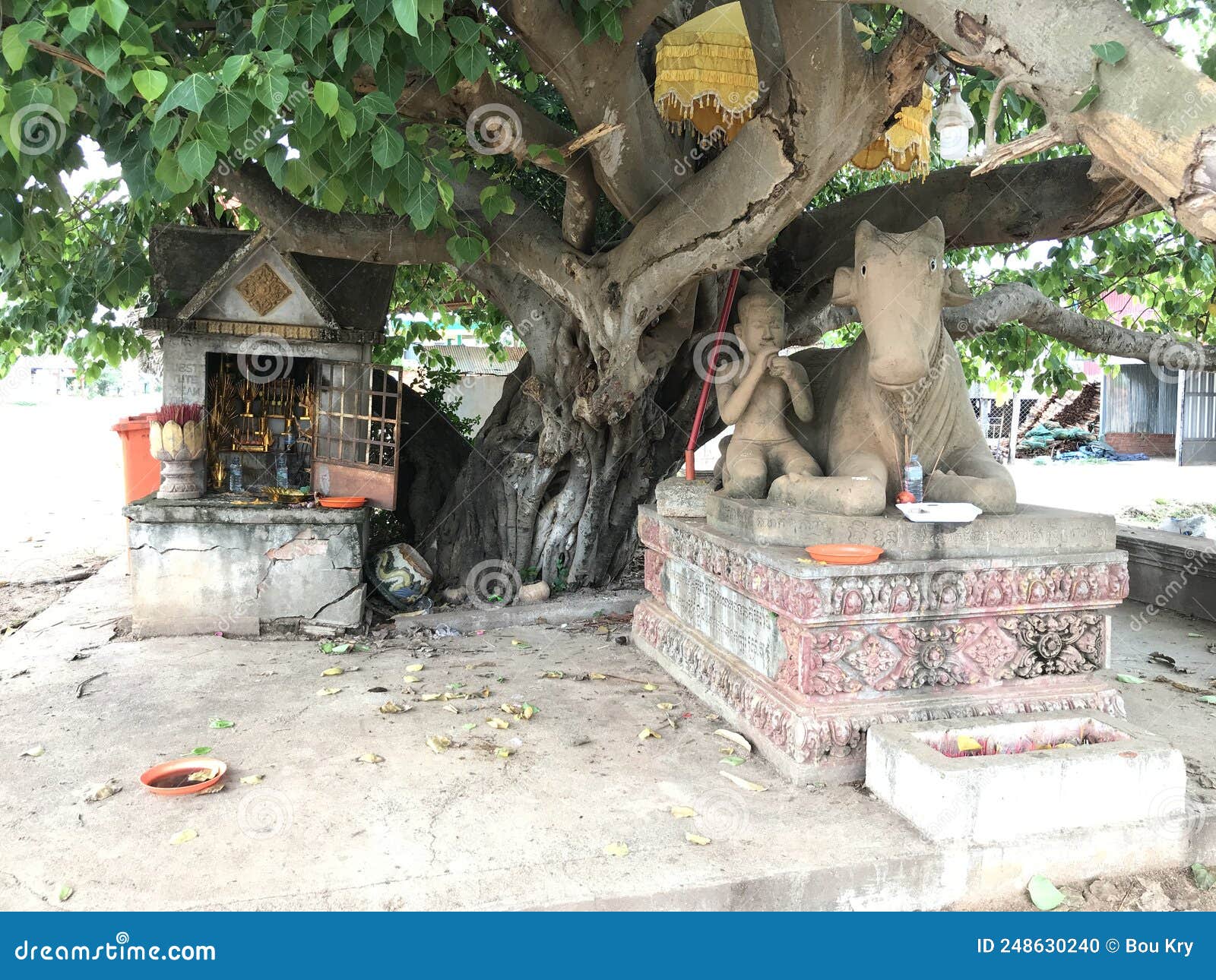 The Stone People and Cow Staying Under the Tree Editorial Image - Image ...