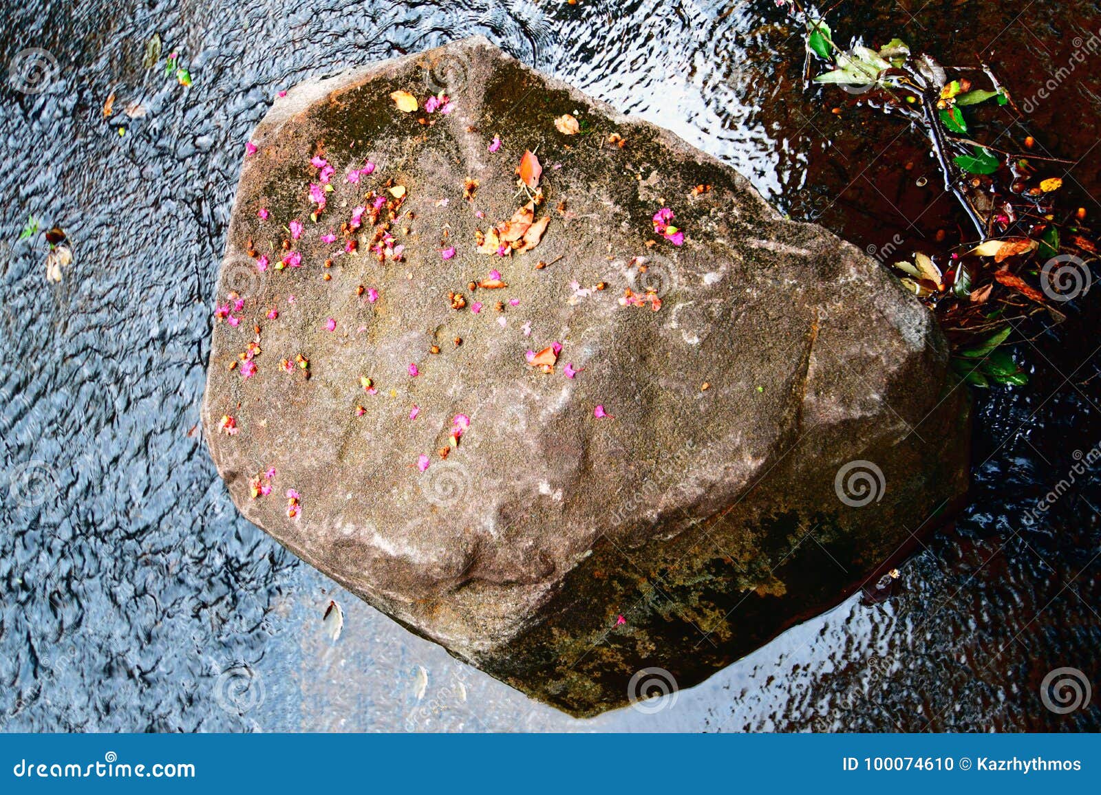 A stone and petal stock photo. Image of summer, japan - 100074610