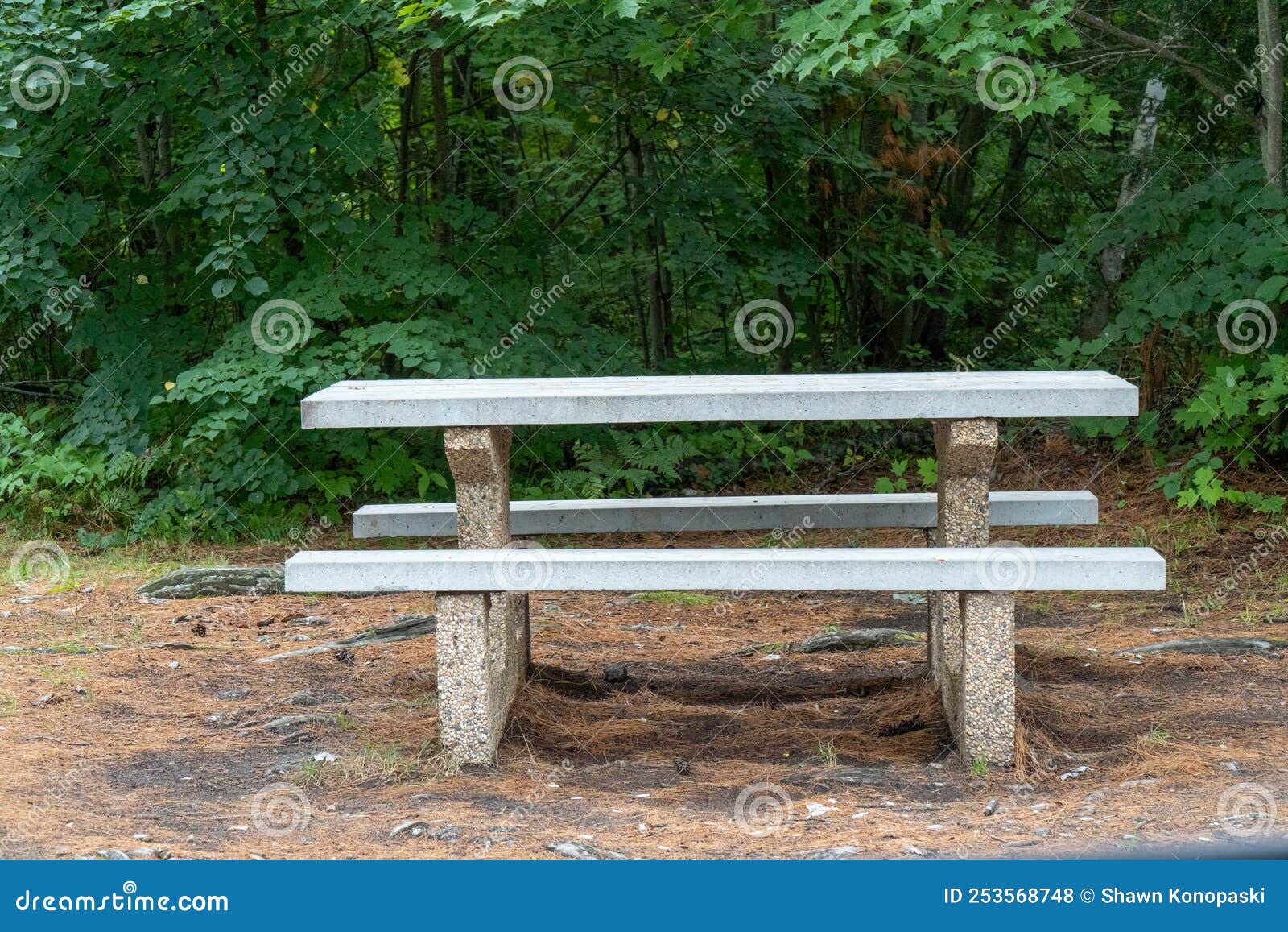 Stone picnic table in park stock photo. Image of beautiful - 253568748