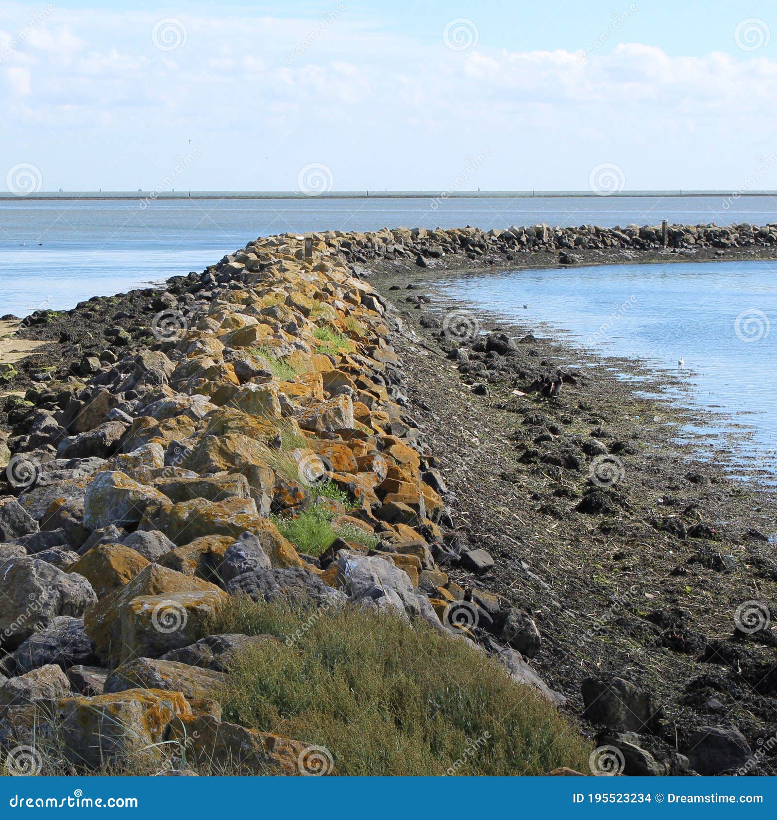Stone Pier stock photo. Image of green, jetty, coast - 195523234