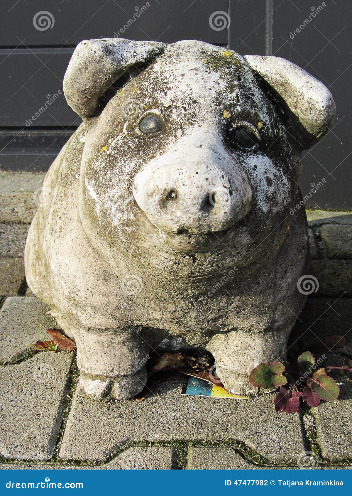 Stone pig in the garden stock photo. Image of statues - 47477982