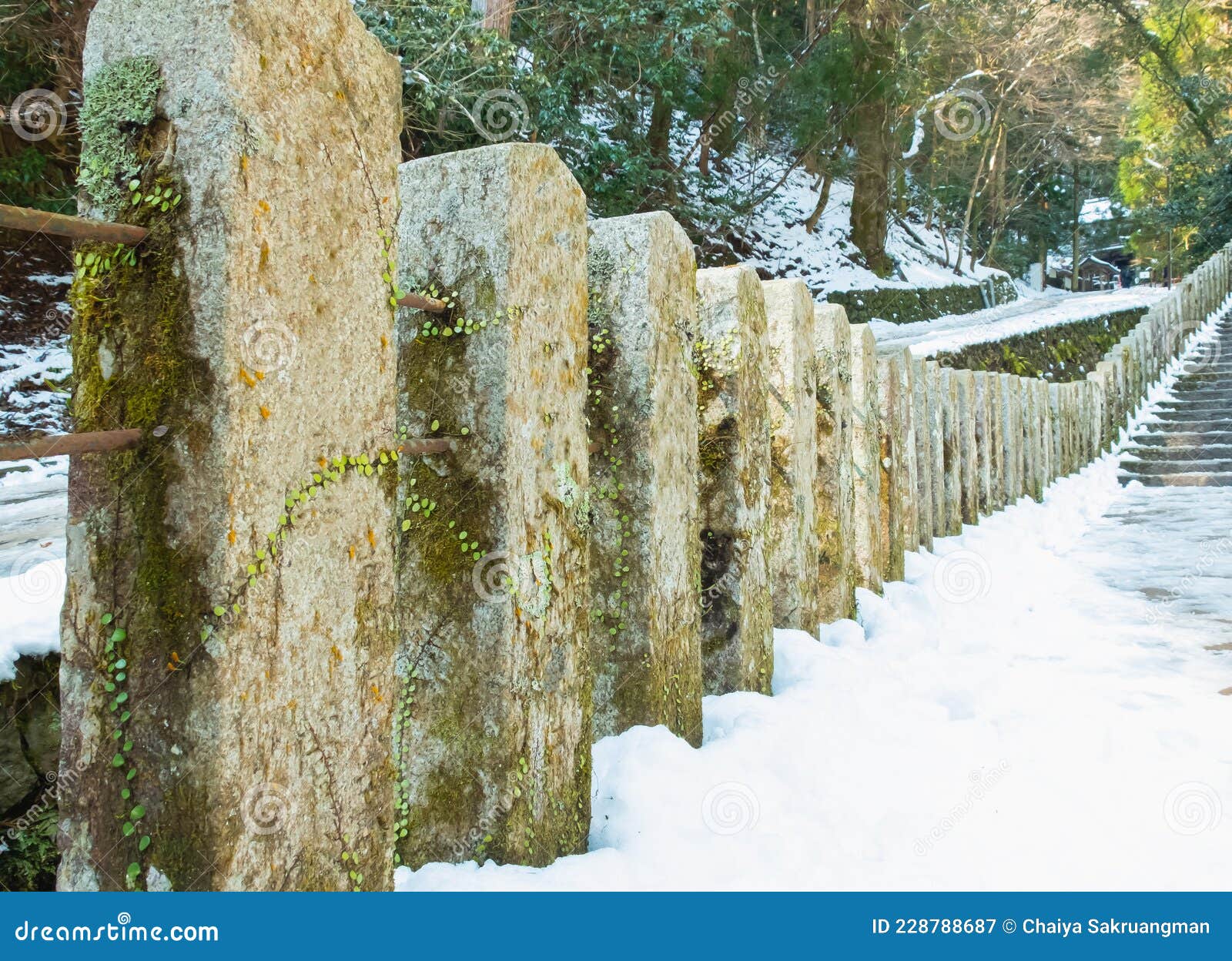 Stone Pillar on Mountain Forest Path with Snow Path in Winter Stock ...