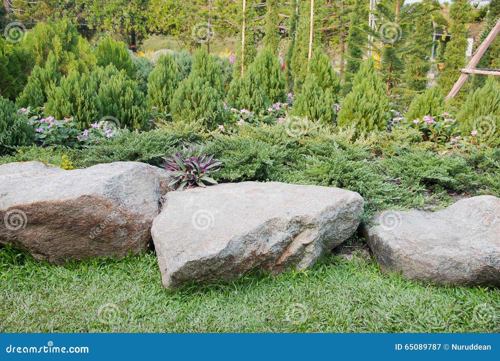 Stone and Plant for a Decorate in Garden Stock Image - Image of ...