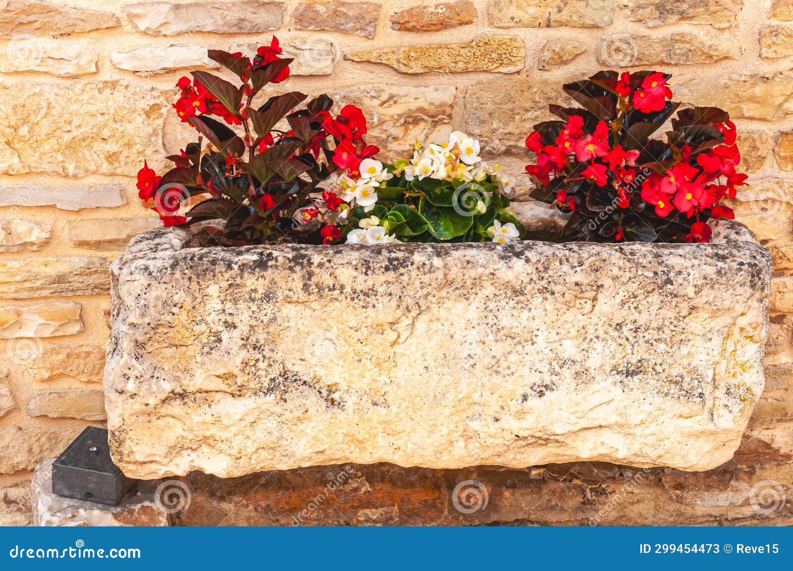 Stone Planter, Filled with Red and White Flowers Stock Image - Image of ...