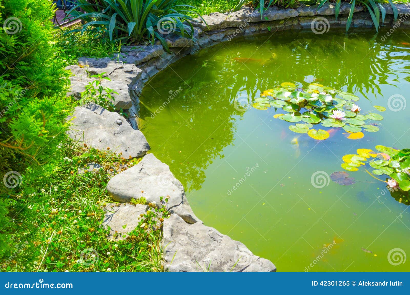 Stone pond stock image. Image of petal, garden, nature - 42301265