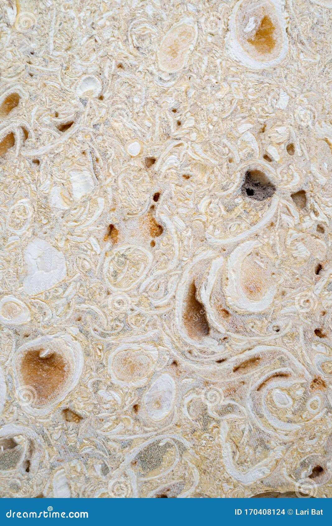 Stone Porous Texture with Splashes of Shell Rock. Brickwork of a Shell ...