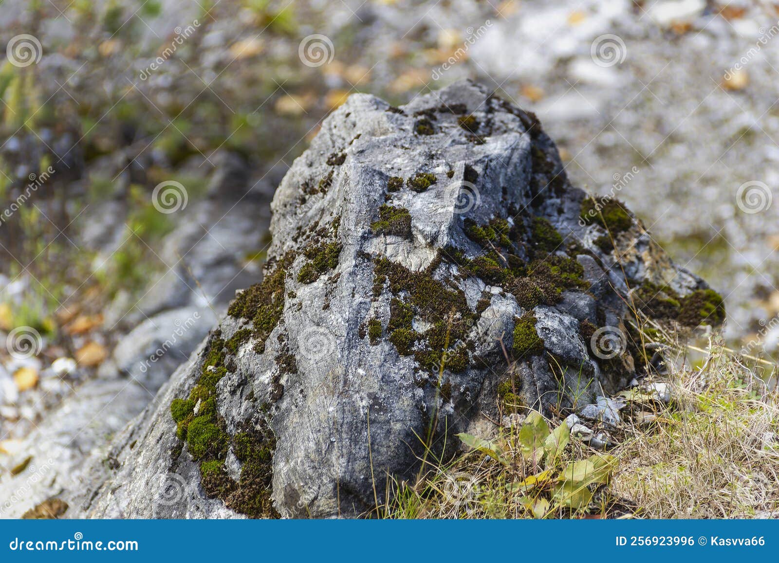 A Stone Protruding from the Ground. a Large Boulder or a Piece of Rock ...