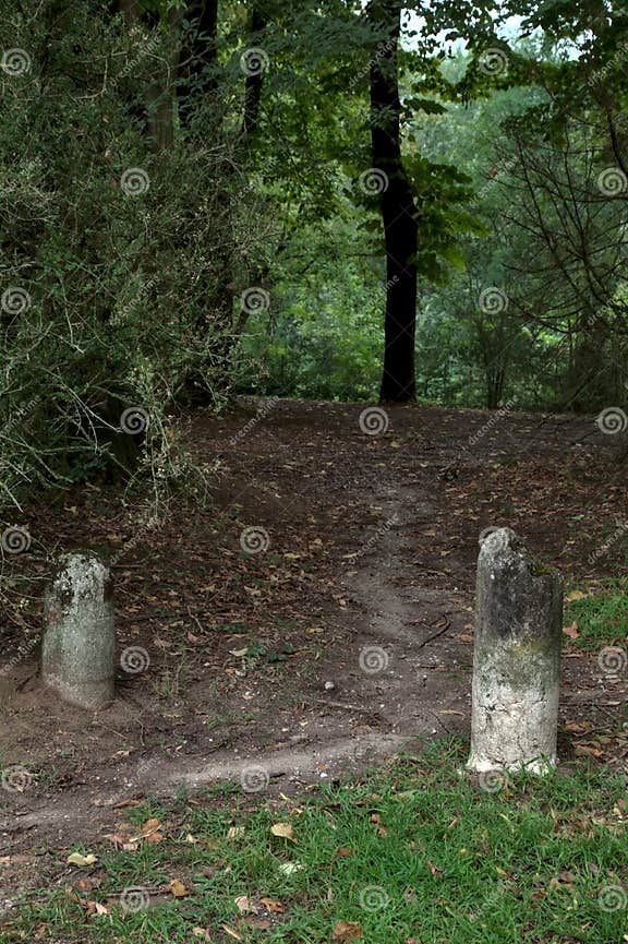 Stone Pylons at the Beginning of a Path Bordered by Trees Stock Image ...