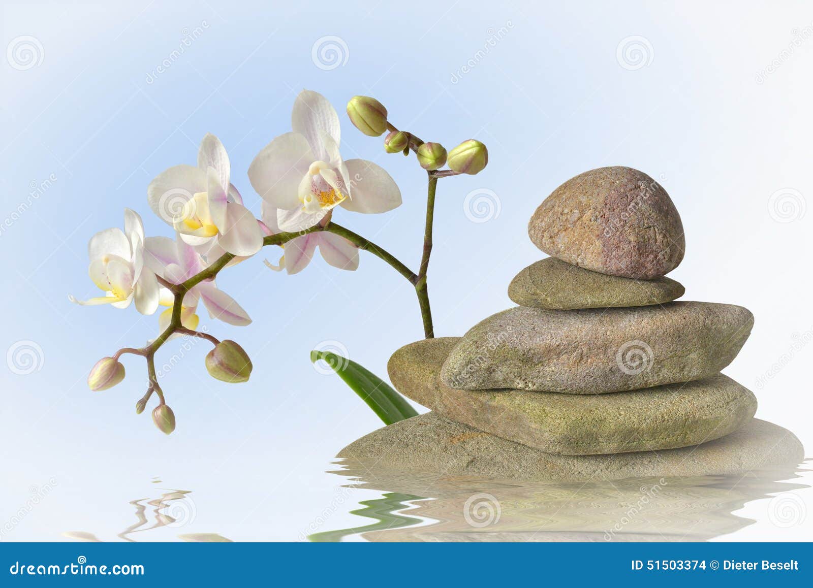 Stone pyramid with Orchid stock photo. Image of stones - 51503374