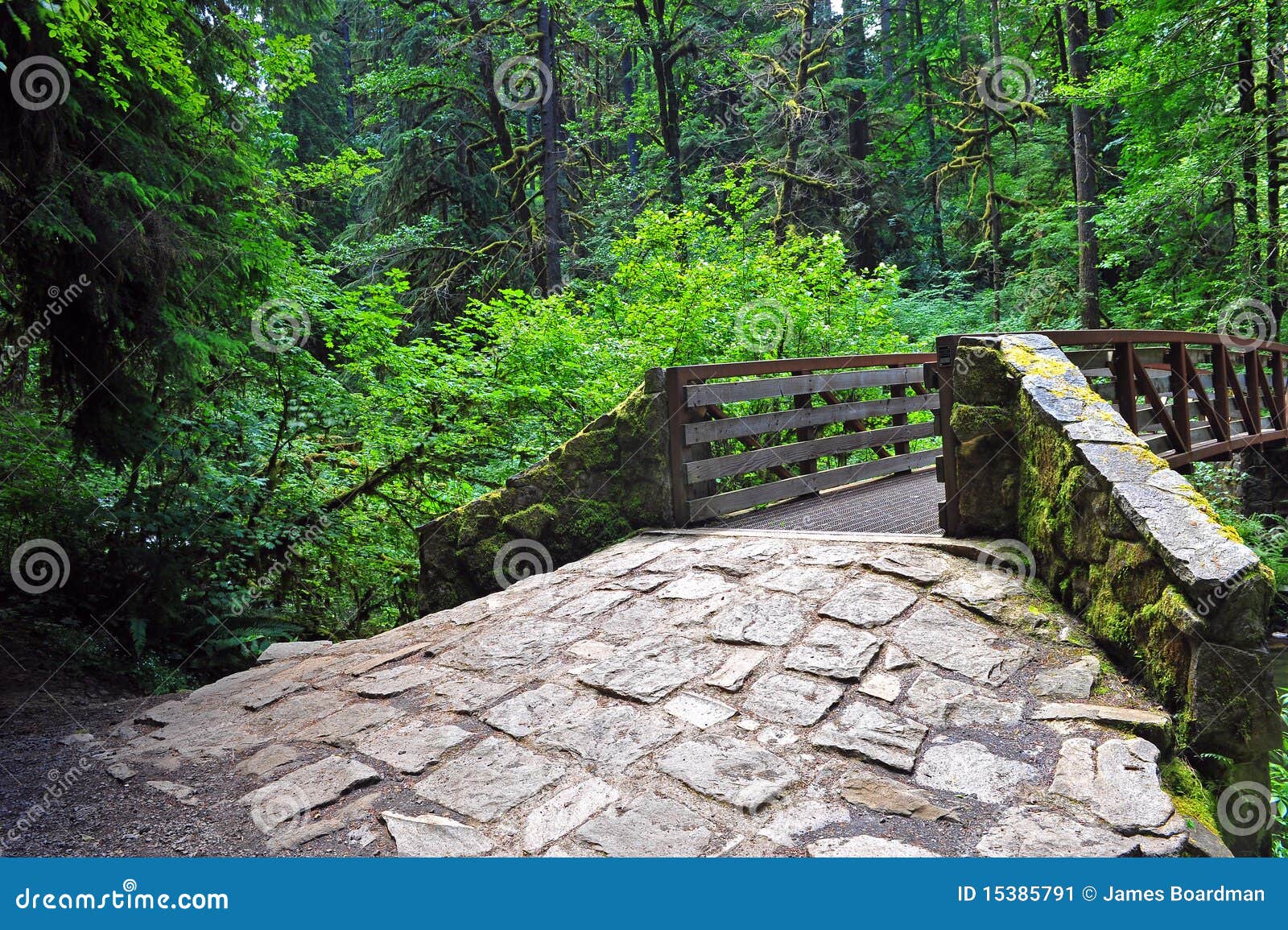Stone Ramp To Forset Bridge Stock Image - Image of foliage, green: 15385791