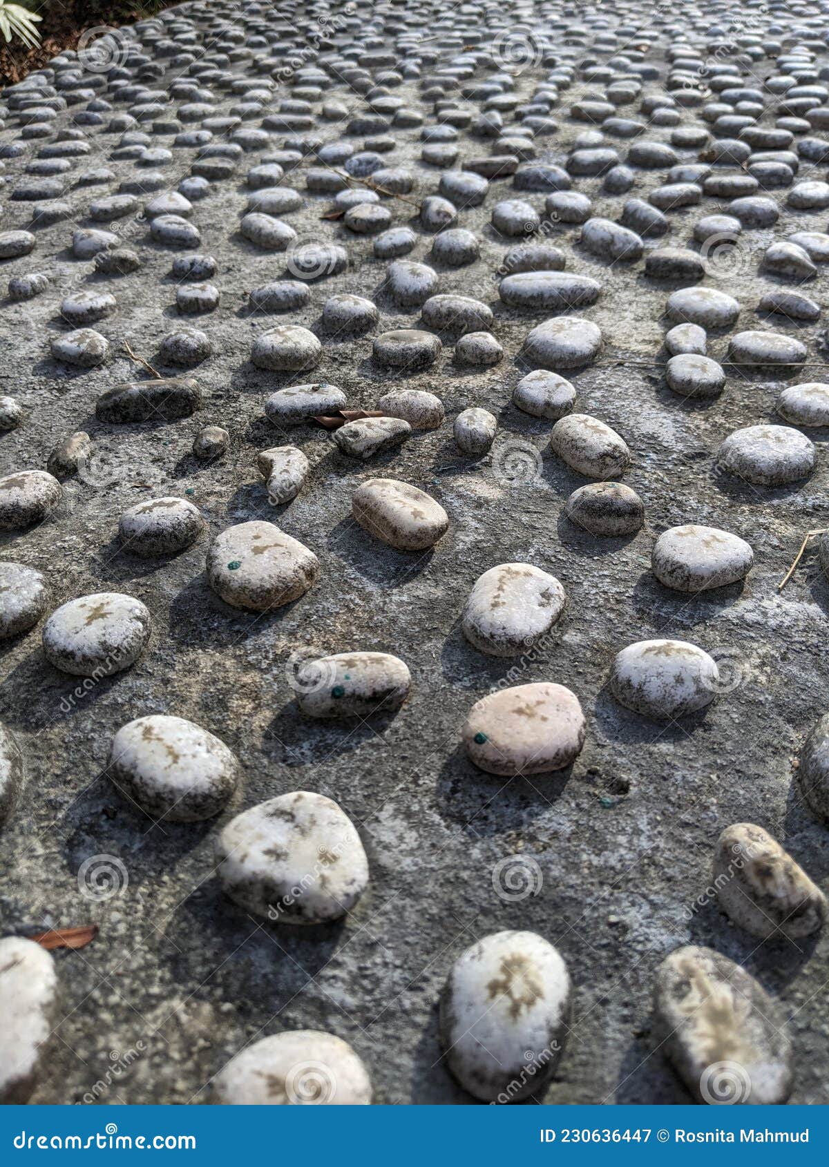 Stone Randomly Arranged for Reflexology Theraphy Stock Image - Image of ...