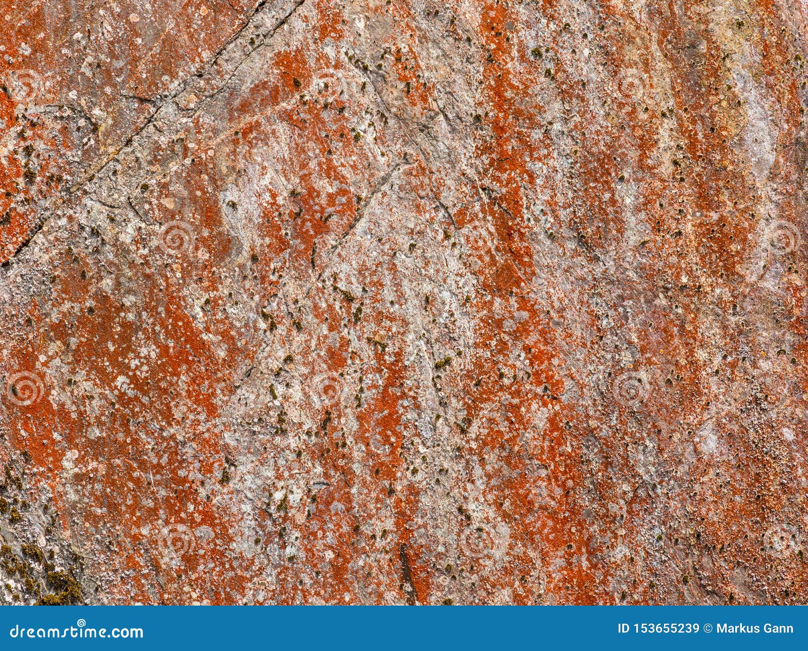 Stone with red lichen stock image. Image of grey, grunge - 153655239