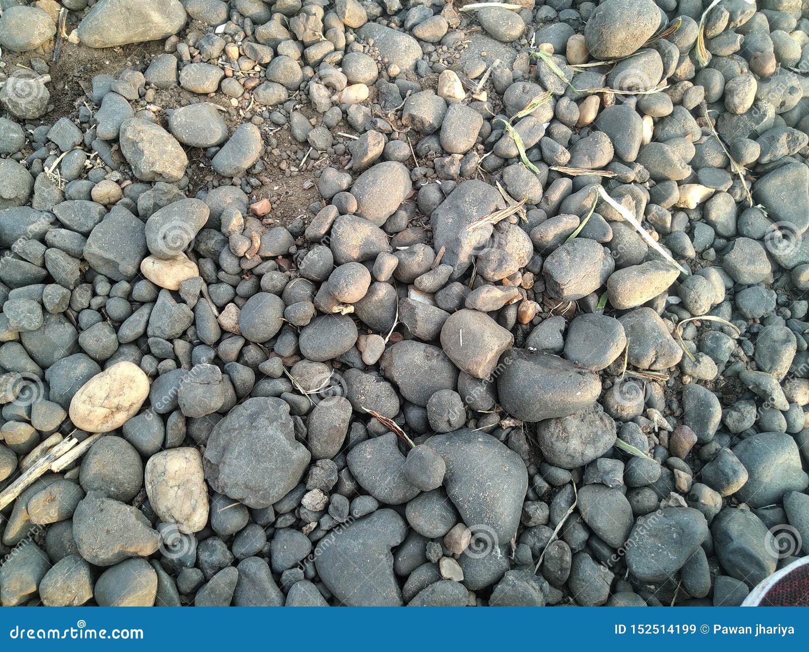 Stone River Narmada Water Freshstone Mobile Photo Stock Image - Image ...