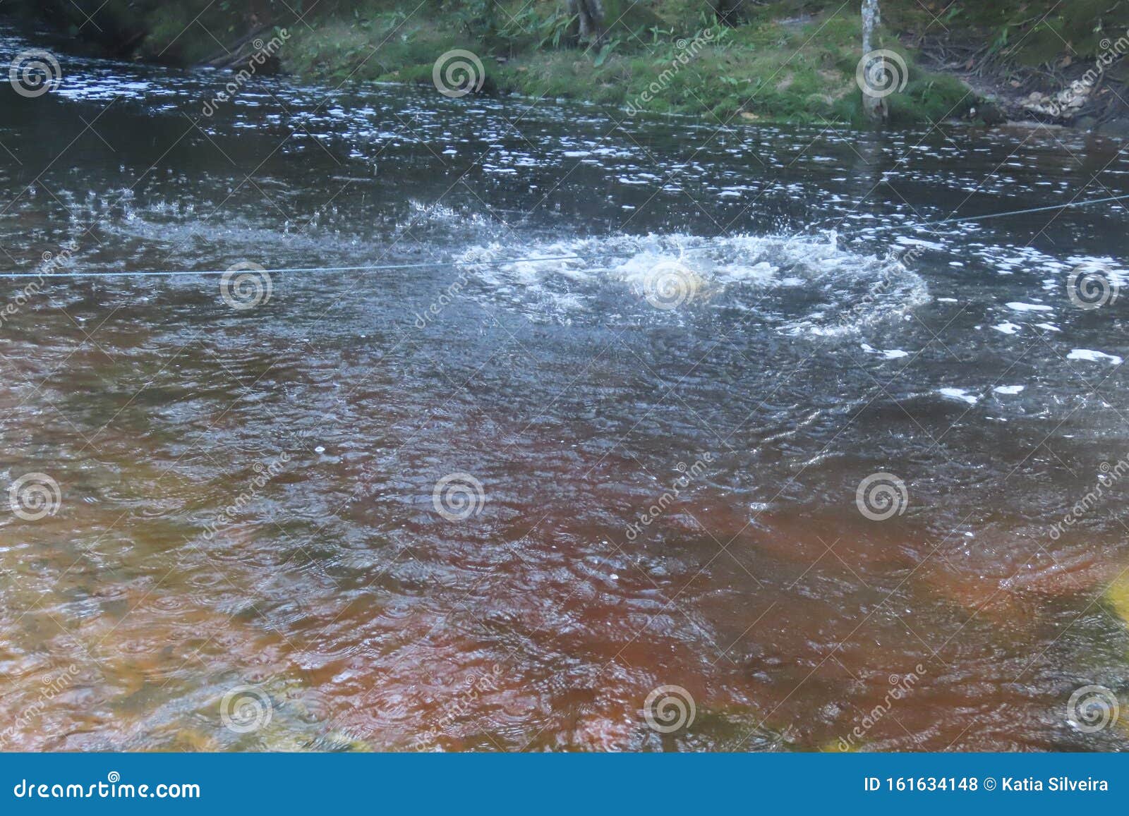 Stone in River Water Making Movements and Foam Stock Photo - Image of ...