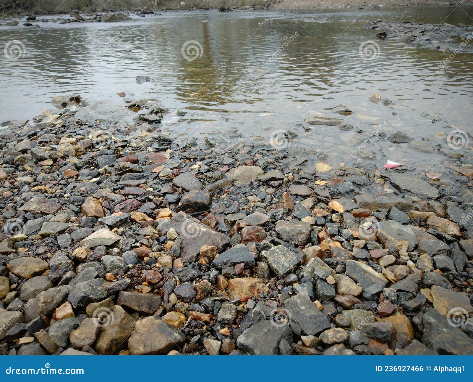 Stone in the riverside stock photo. Image of soil, wildlife - 236927466
