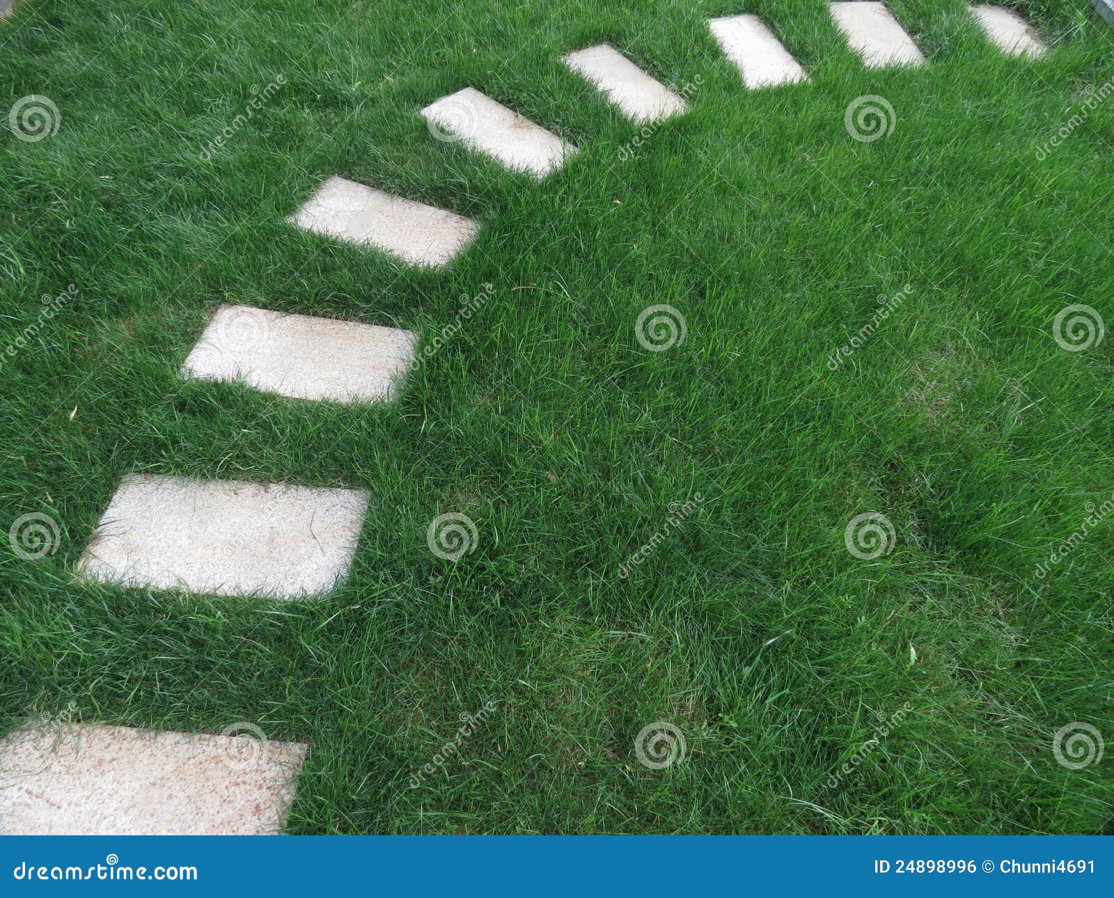 Stone road in the garden stock photo. Image of green - 24898996