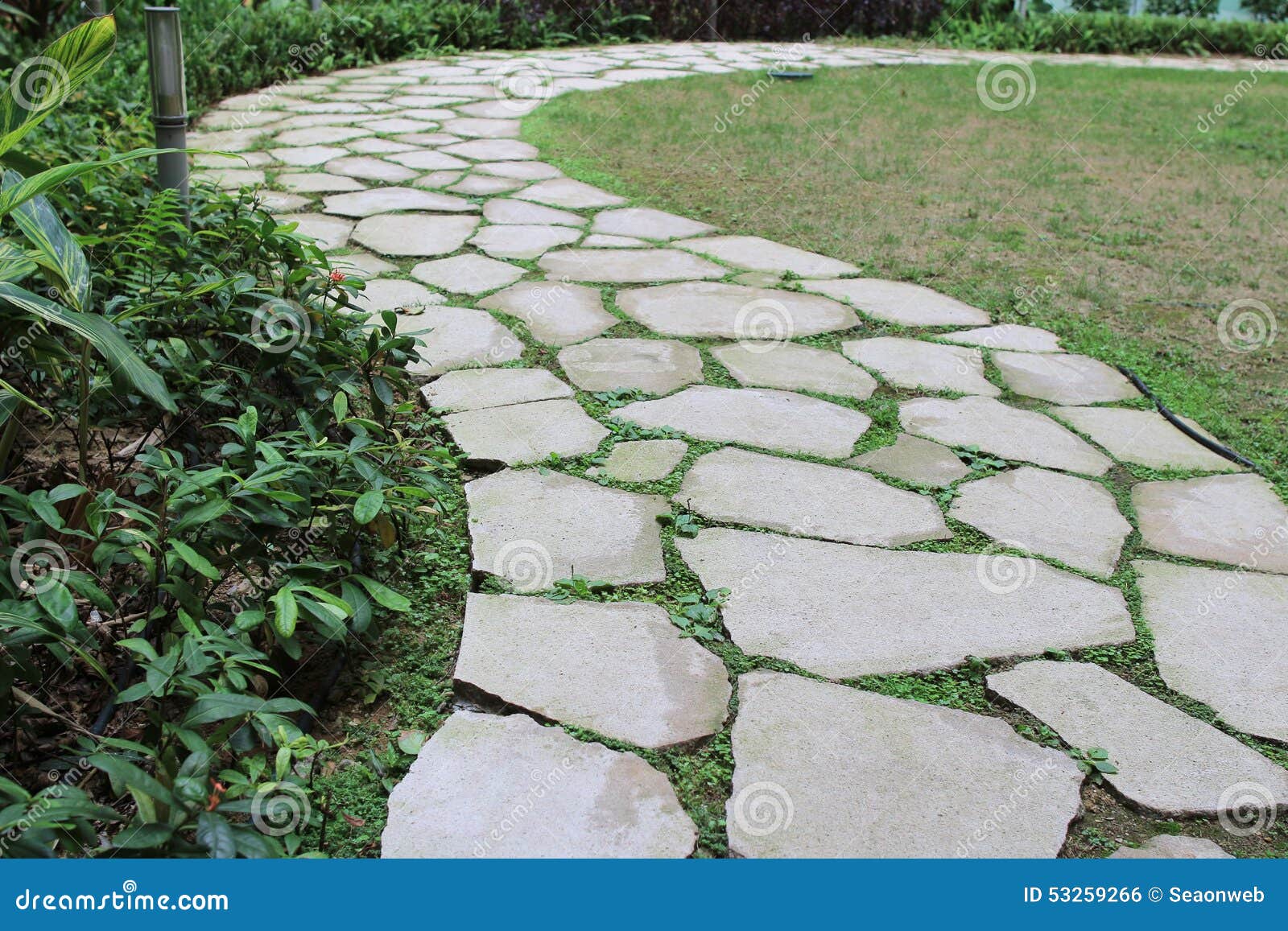 Stone road at the garden stock photo. Image of daylily - 53259266